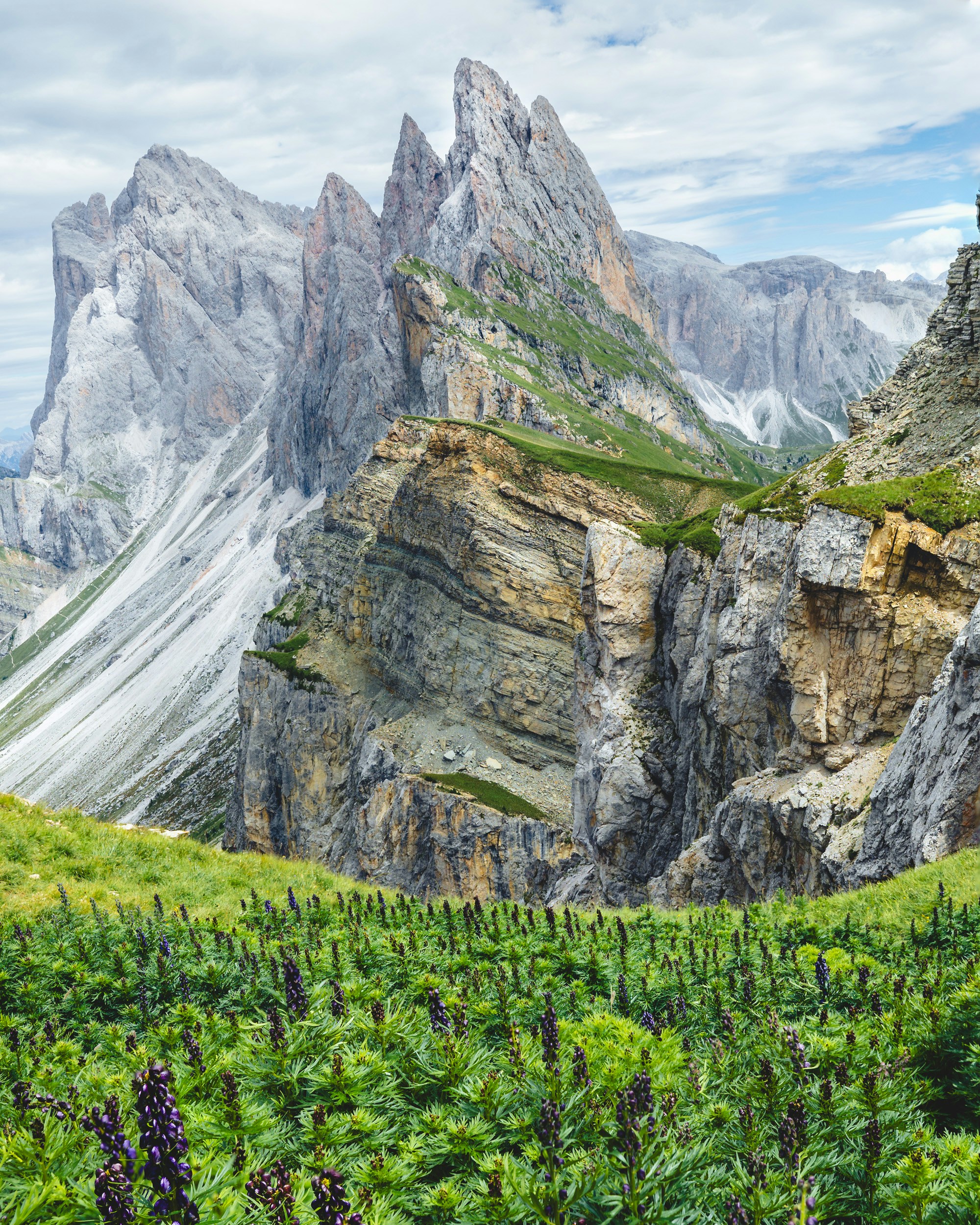 Razor Spires Over a Lupine Carpet