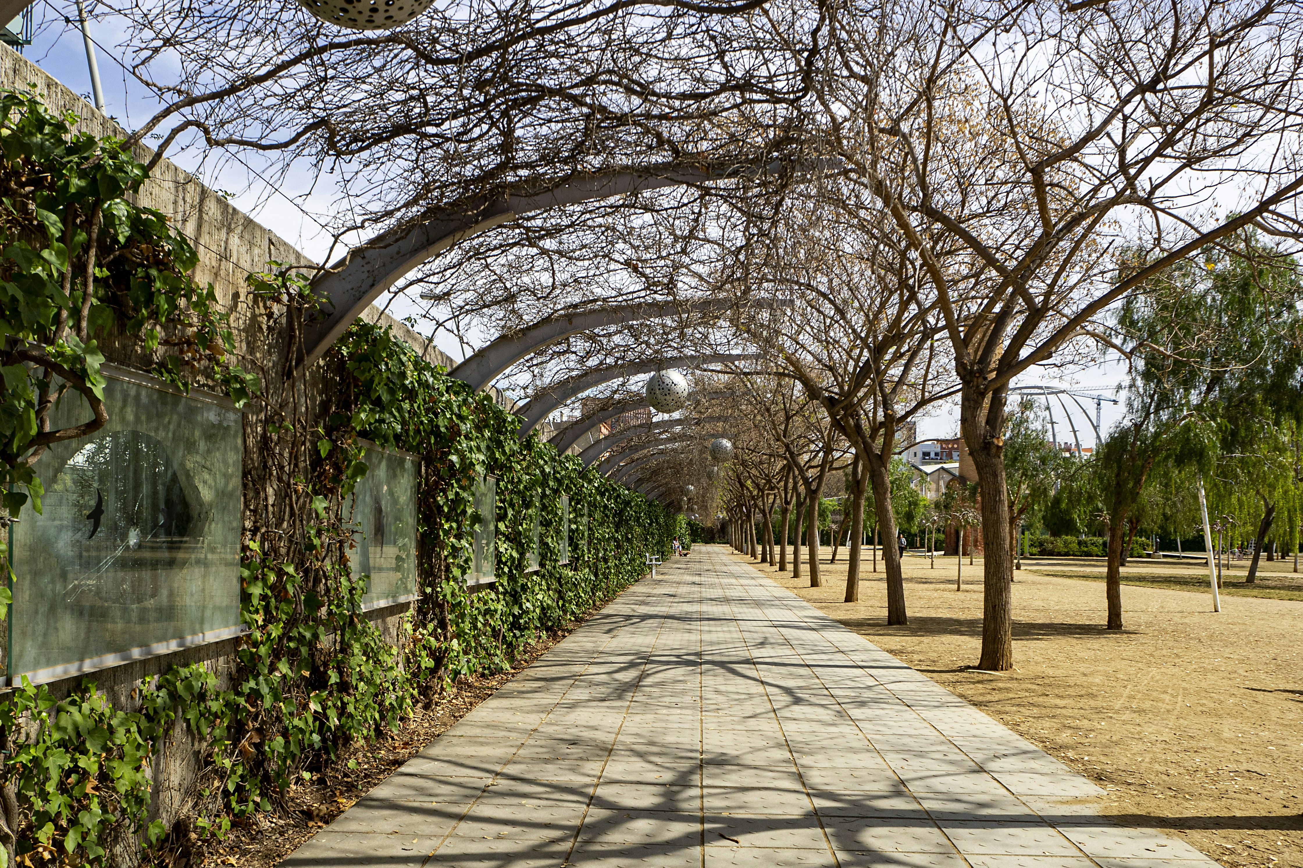 Tree-arched walkway under a luminous glass canopy