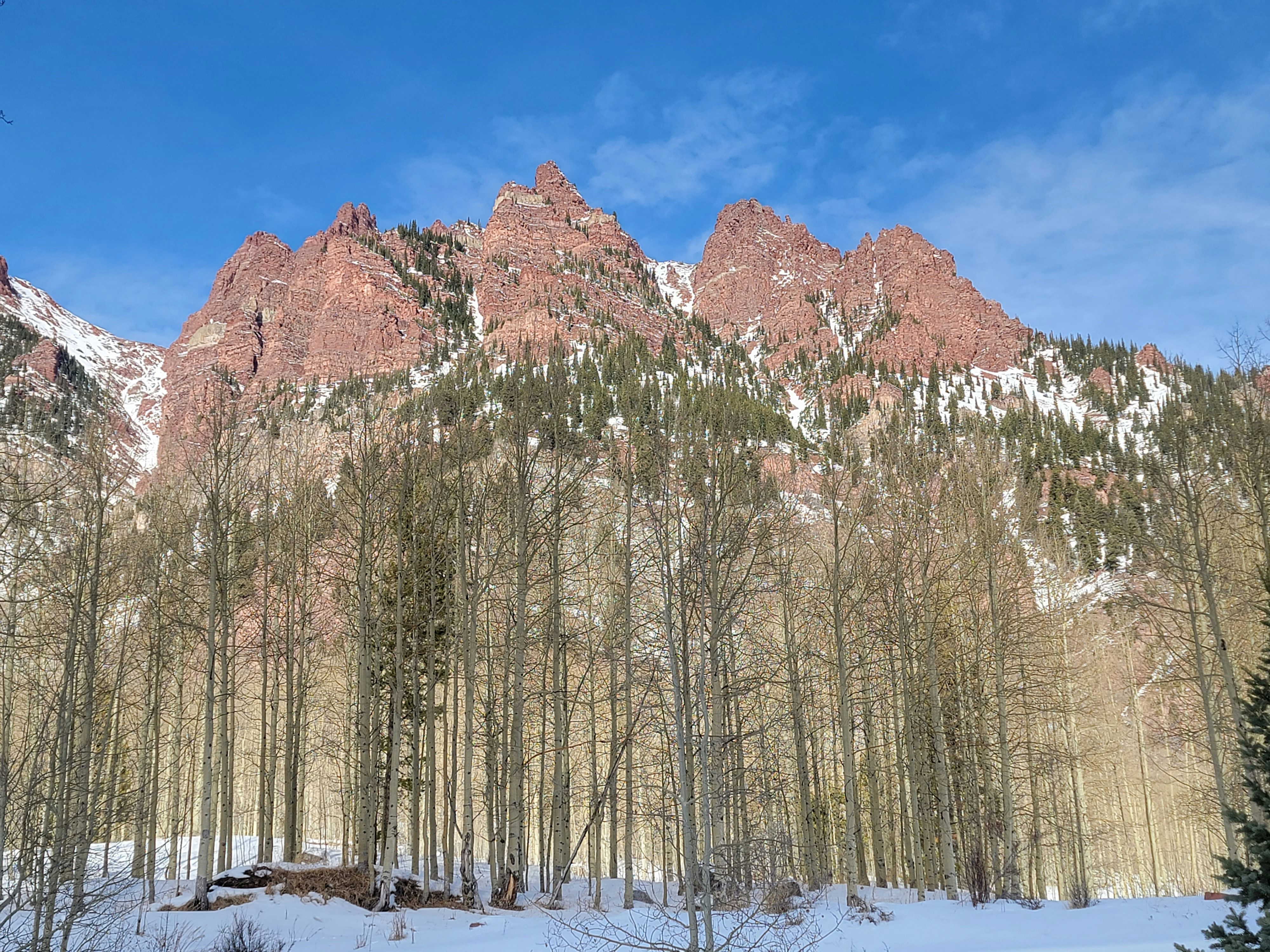 Crimson Peaks Rising Behind a Snowlit Aspen Forest