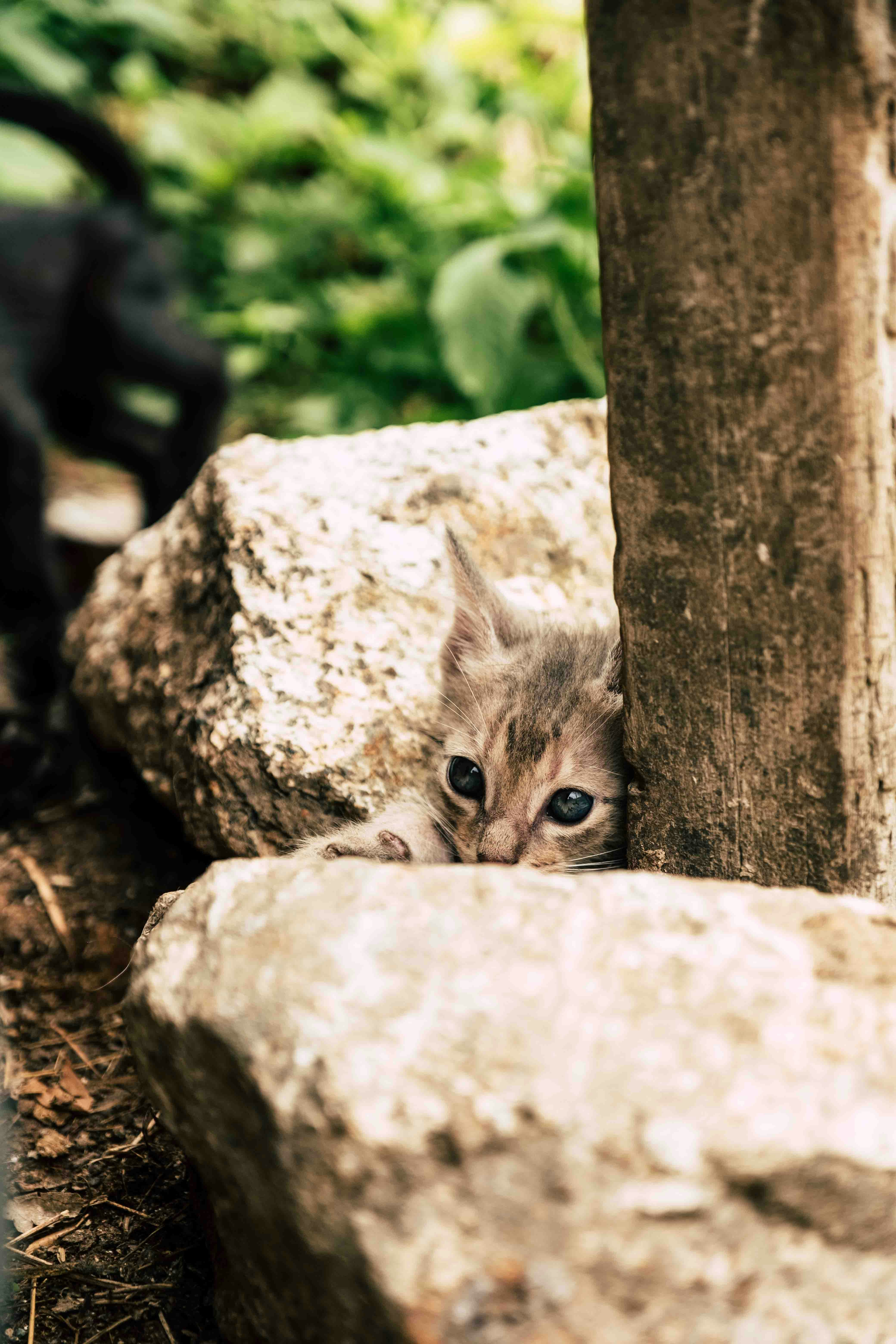 Photo by Frederick Shaw with Fujifilm X-H2S