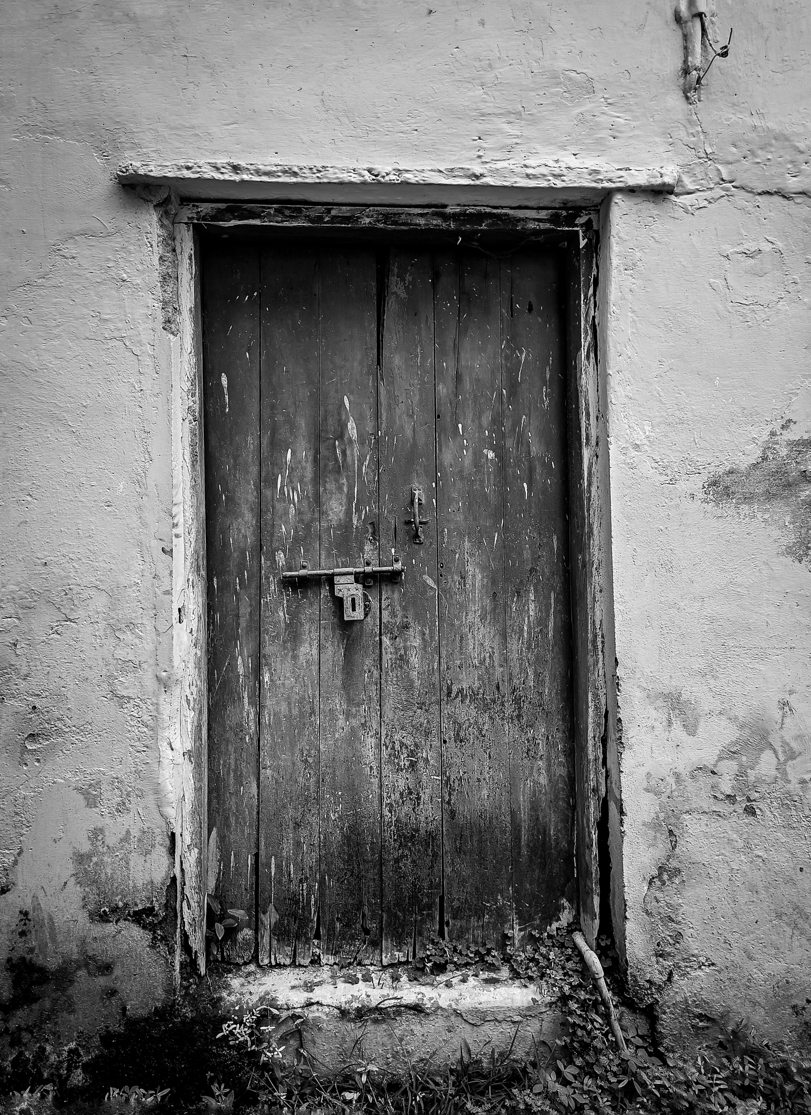 Weathered wooden door with peeling paint, secured with a padlock, framed by a textured wall. Nature's encroachment hints at stories untold.