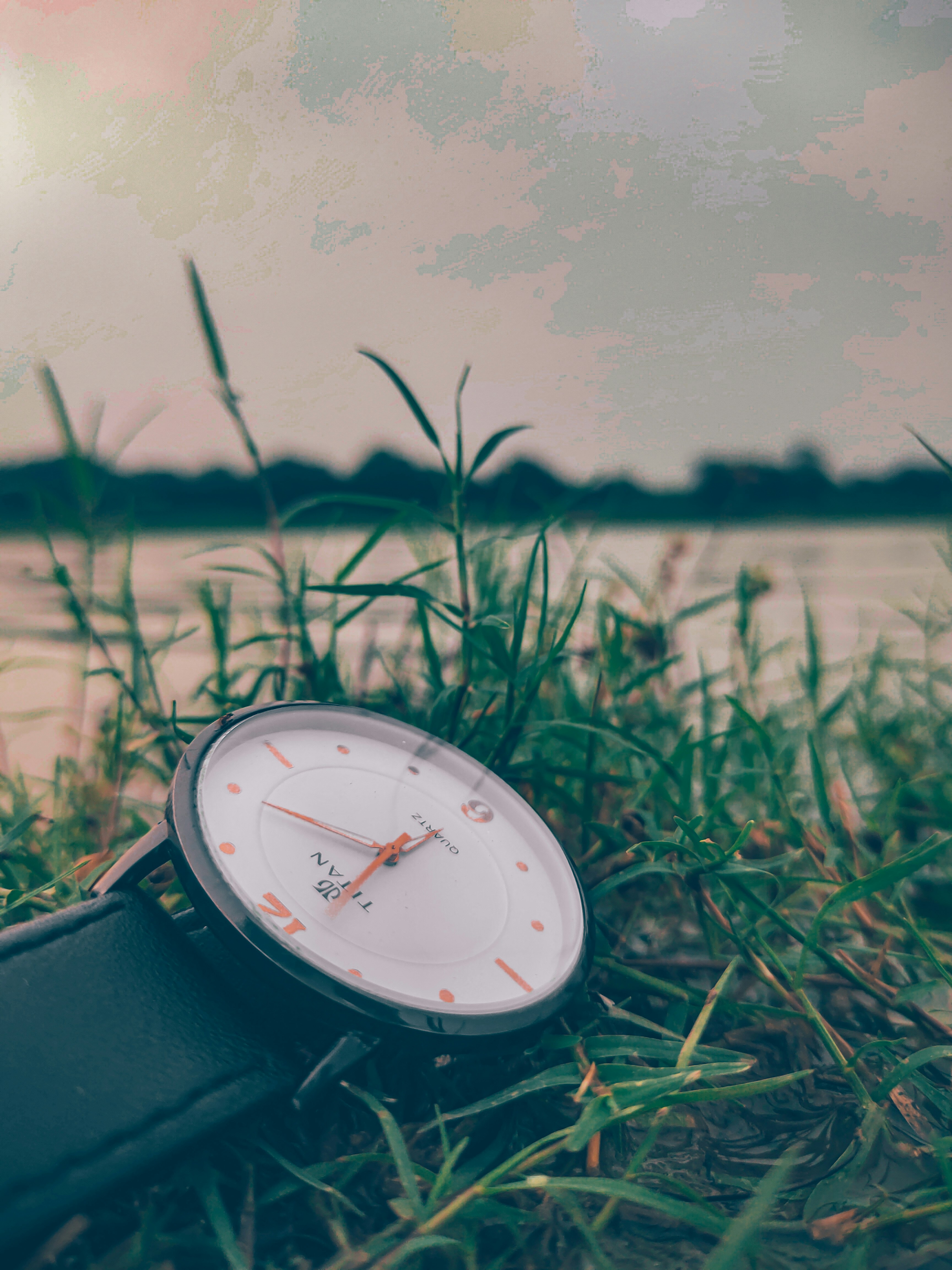 Photograph of a wristwatch resting on grass beside a calm lake, with shallow depth of field emphasizing the watch face.