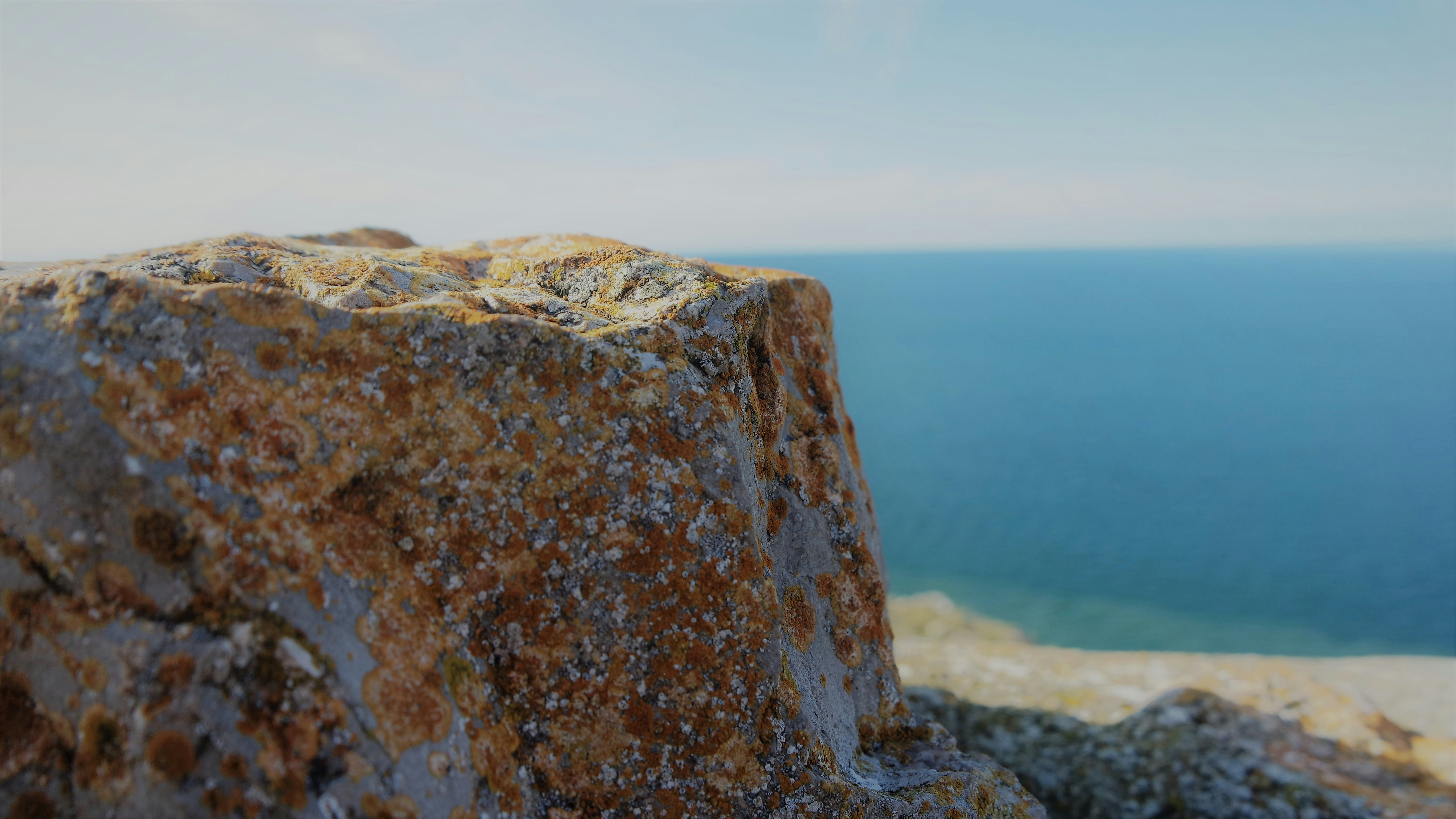 A close up of a rock with a body of water in the background photo ...