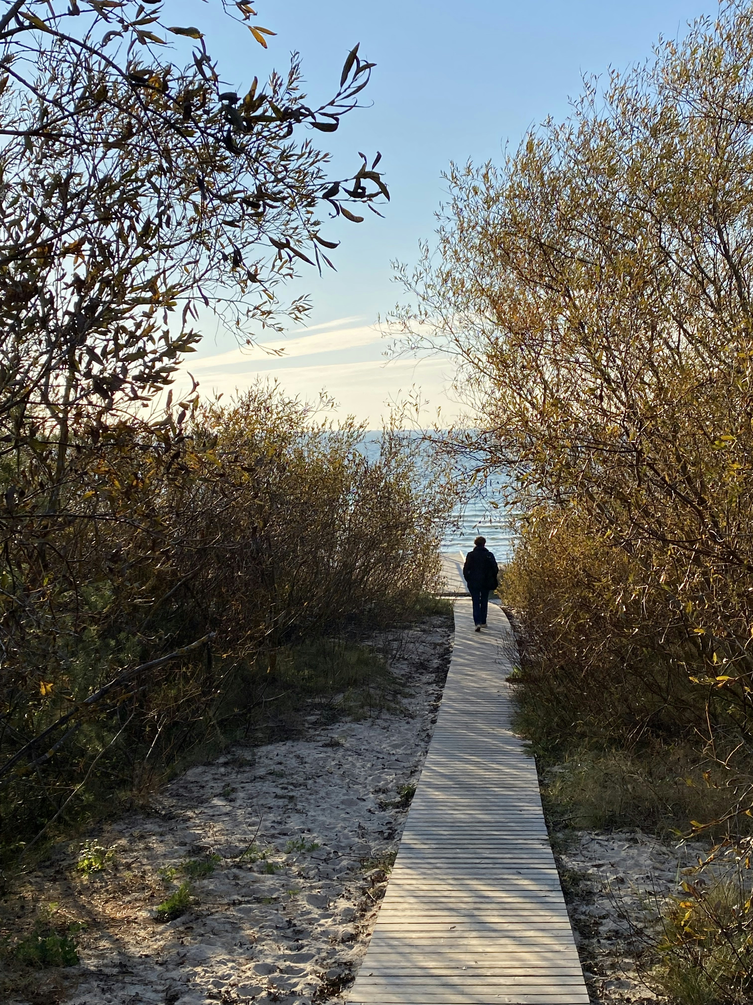 A person walking down a path in the woods photo – Free Path Image on ...