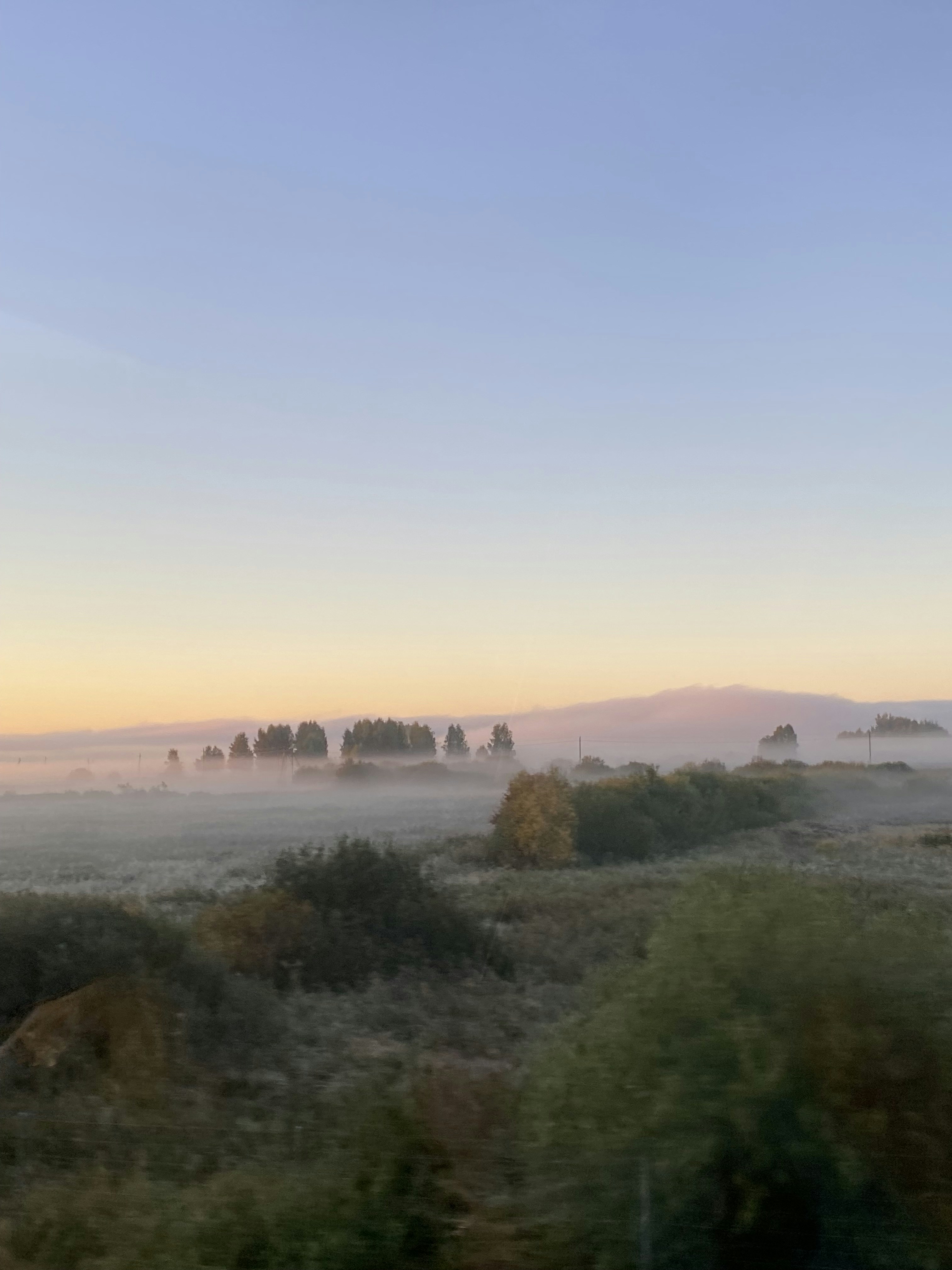 A foggy field with trees and hills in the distance photo – Free Nature ...