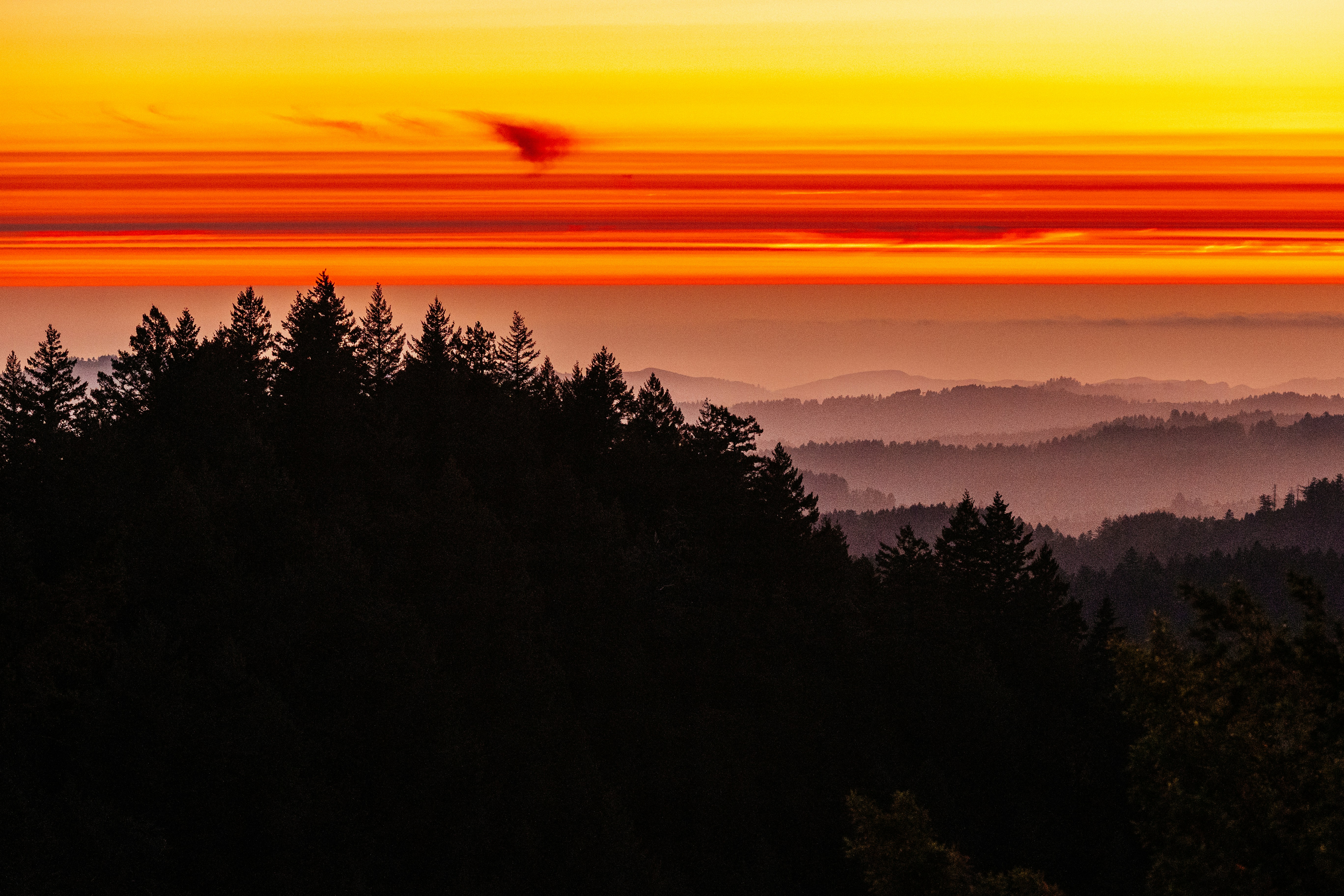 A view of a sunset over a forest filled with trees photo – Free Nature ...
