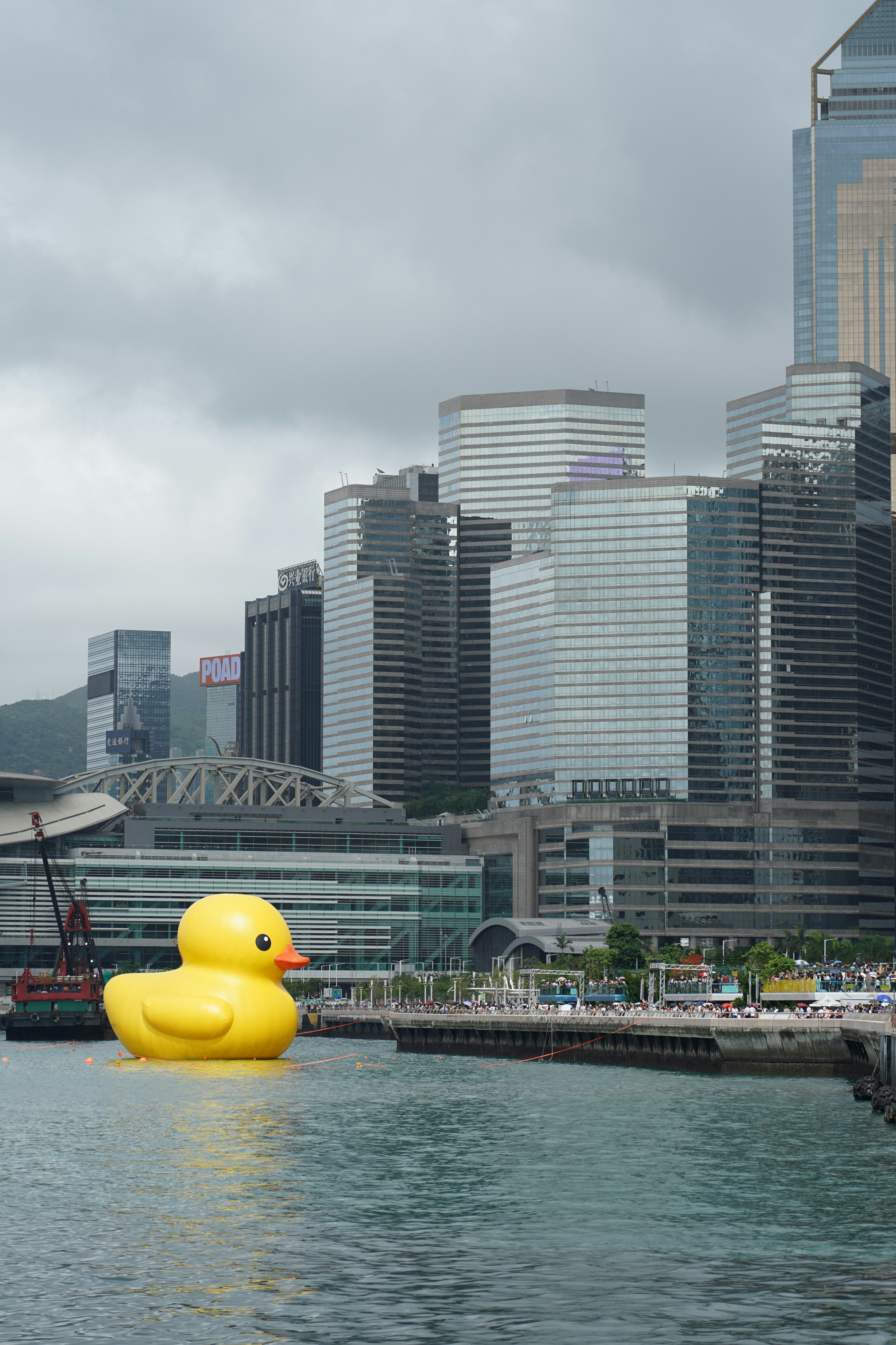 A large yellow rubber duck floating in a body of water photo – Free Hk ...
