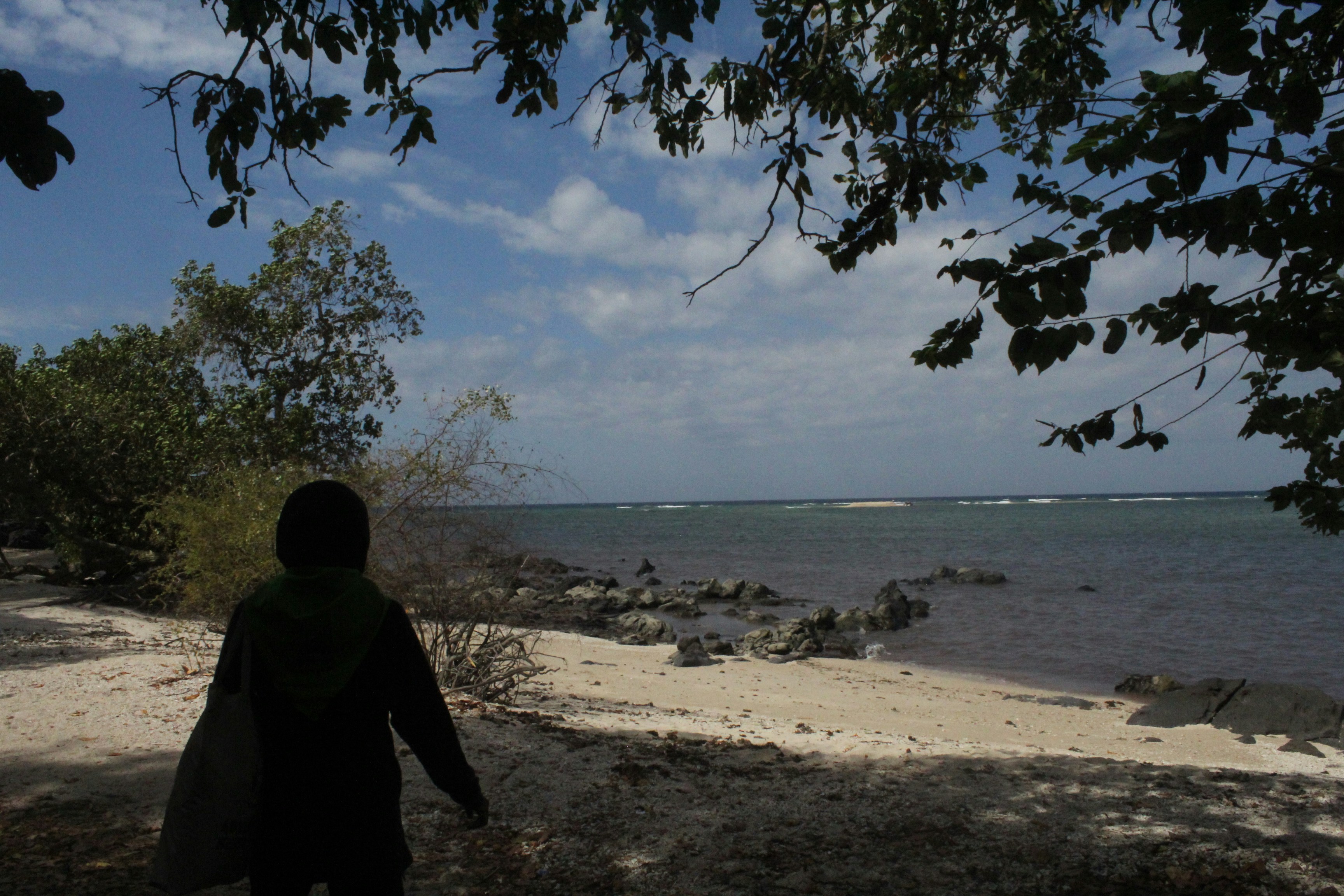 Person walking along a shaded beach with trees framing a view of the ocean and distant clouds.