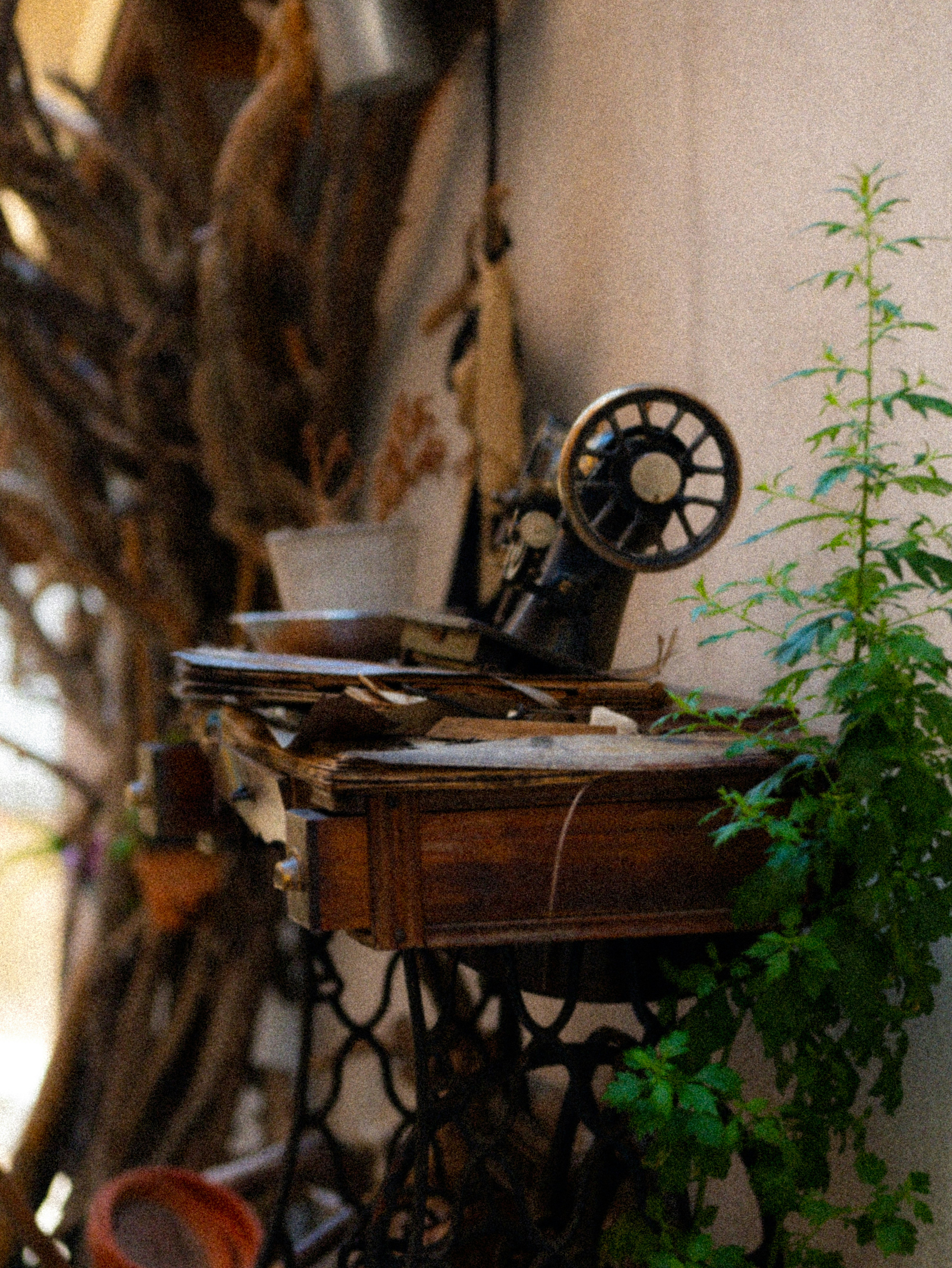 Antique Sewing Machine and Greenery on a Weathered Table