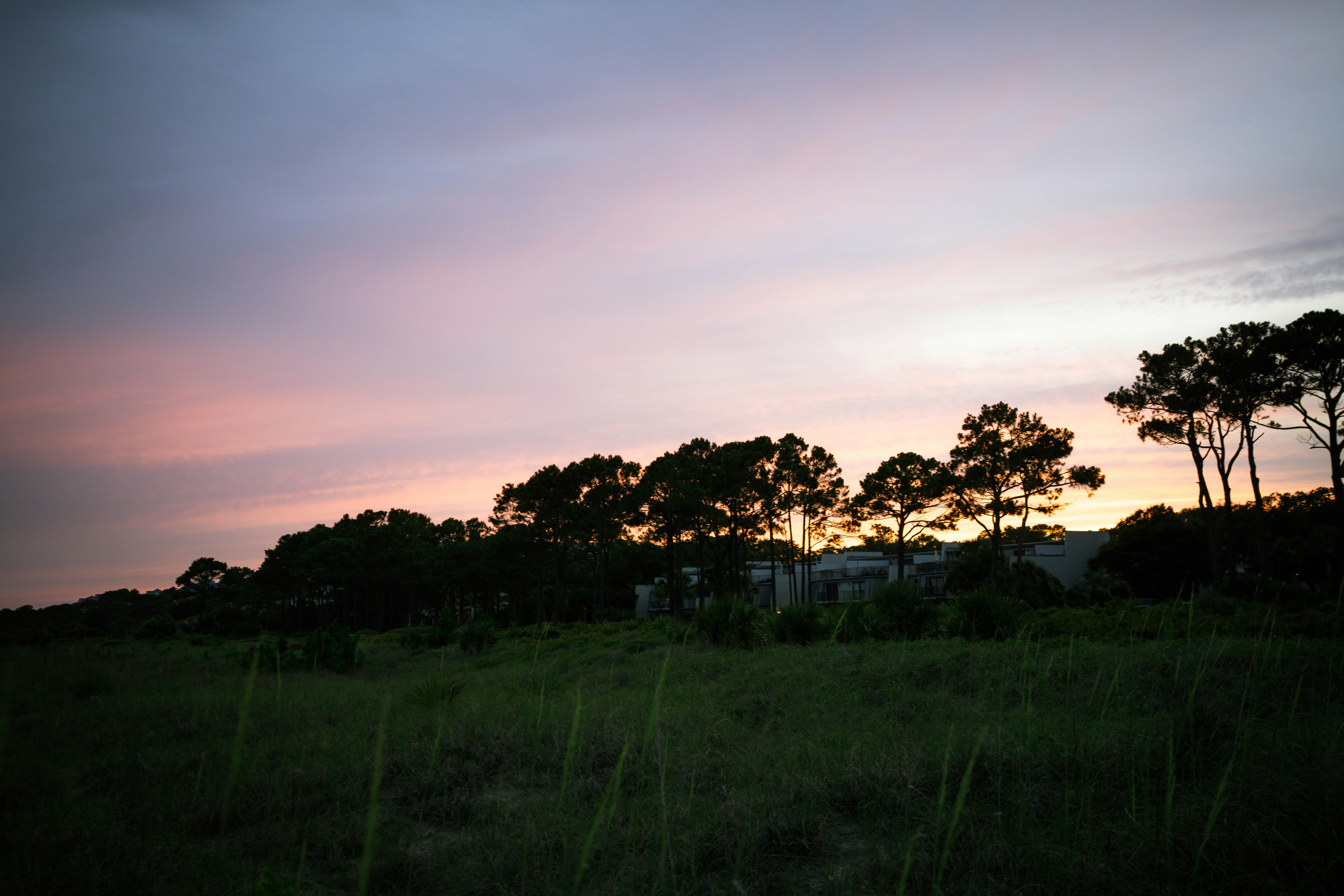 Dusk Silhouette over a Quiet Field