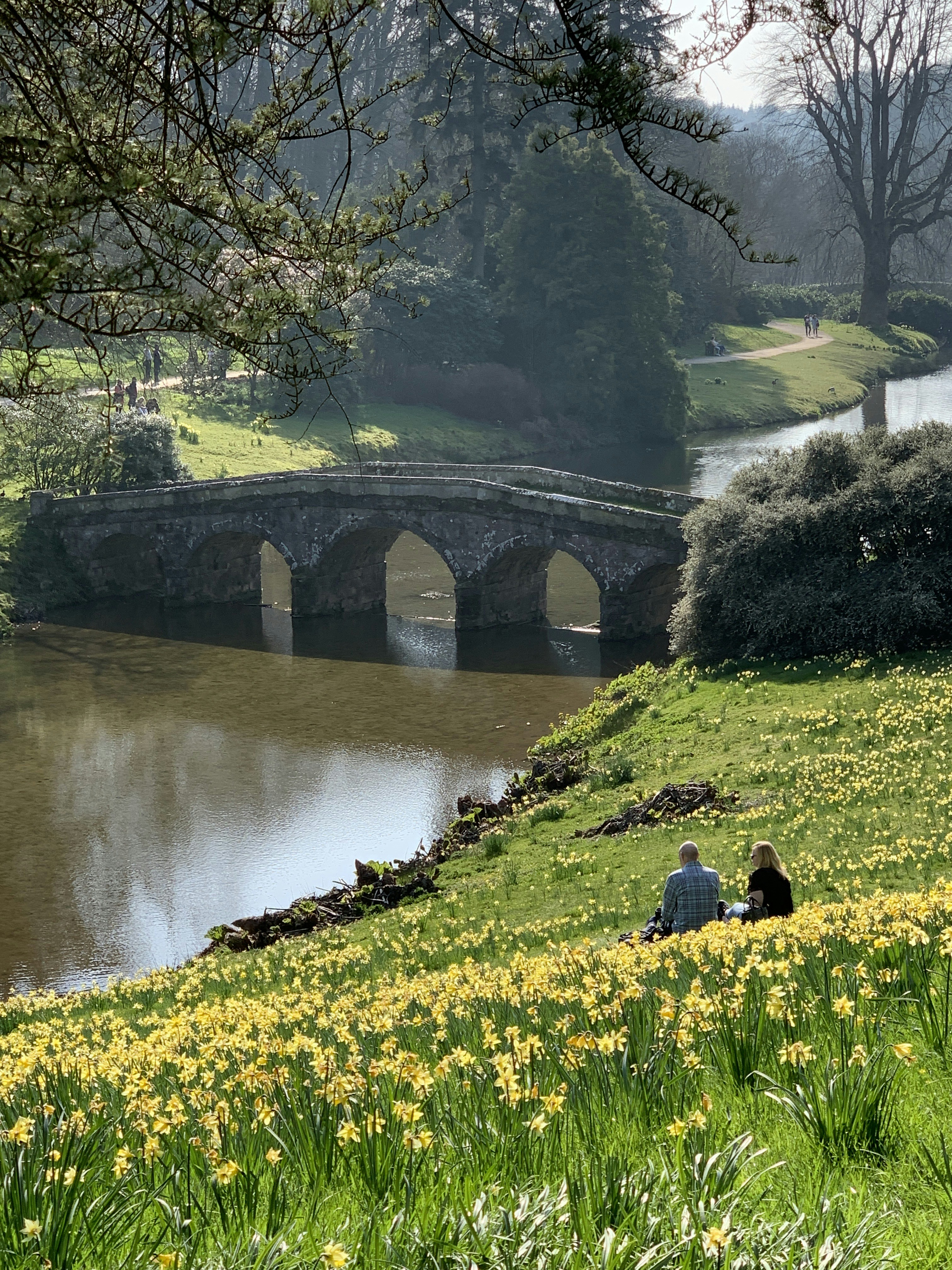 Couple enjoying a peaceful moment on a grassy hillside adorned with blooming daffodils, overlooking a serene river and an arching stone bridge.