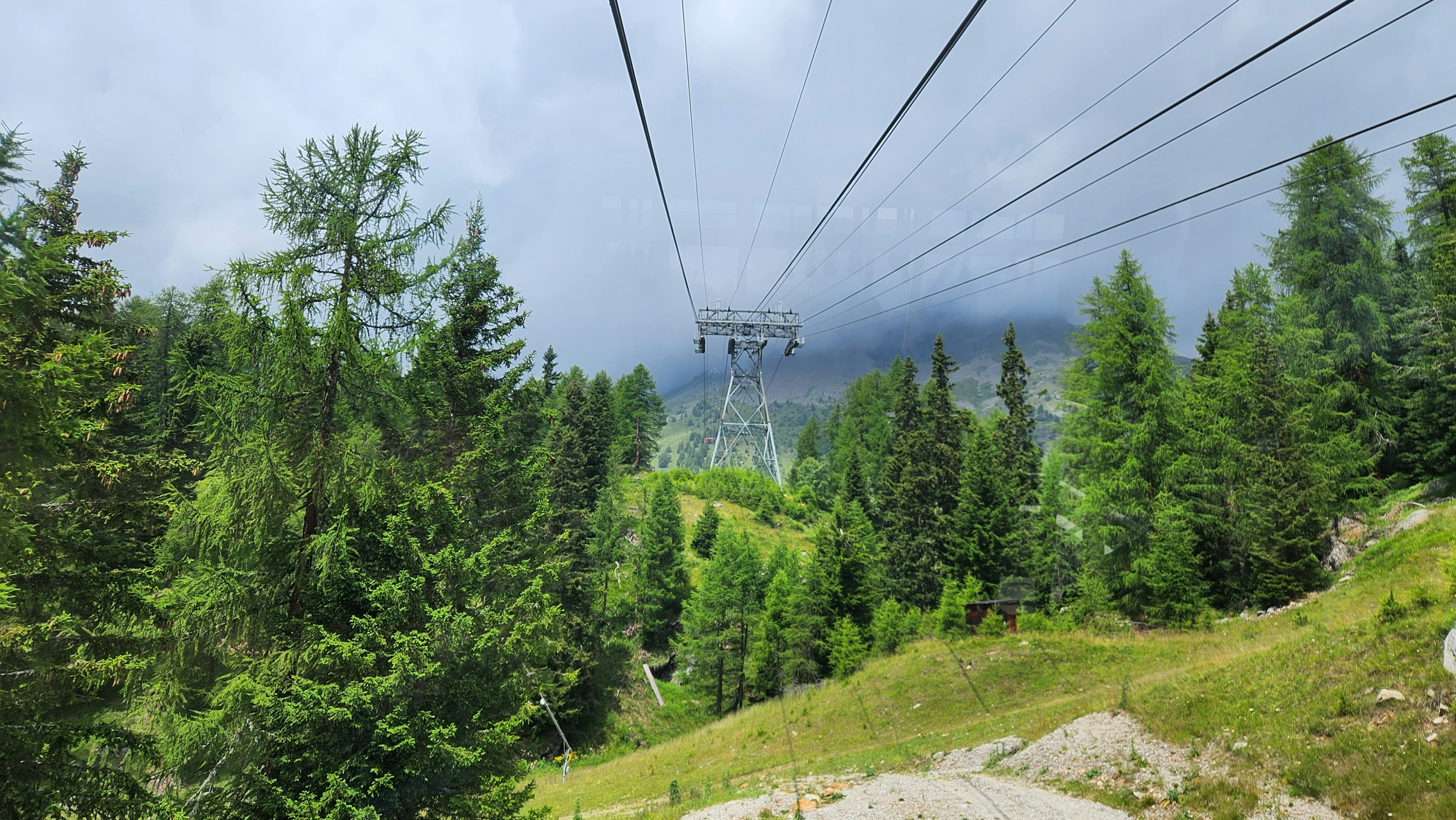 Lush alpine forest with a cable car line cutting across the scene. A misty mountain range looms in the distance.