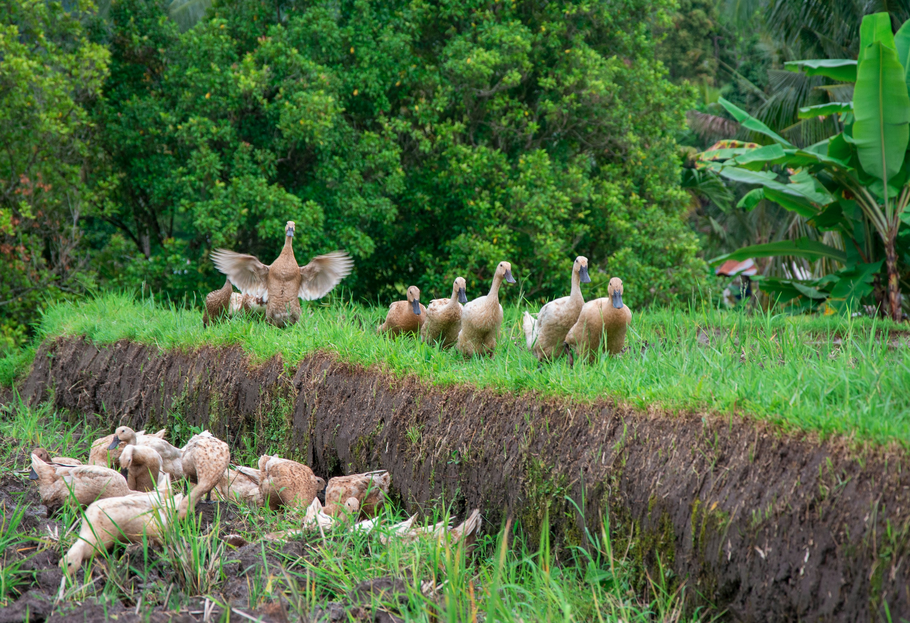 Photo by lionel mermoz with Nikon D5200