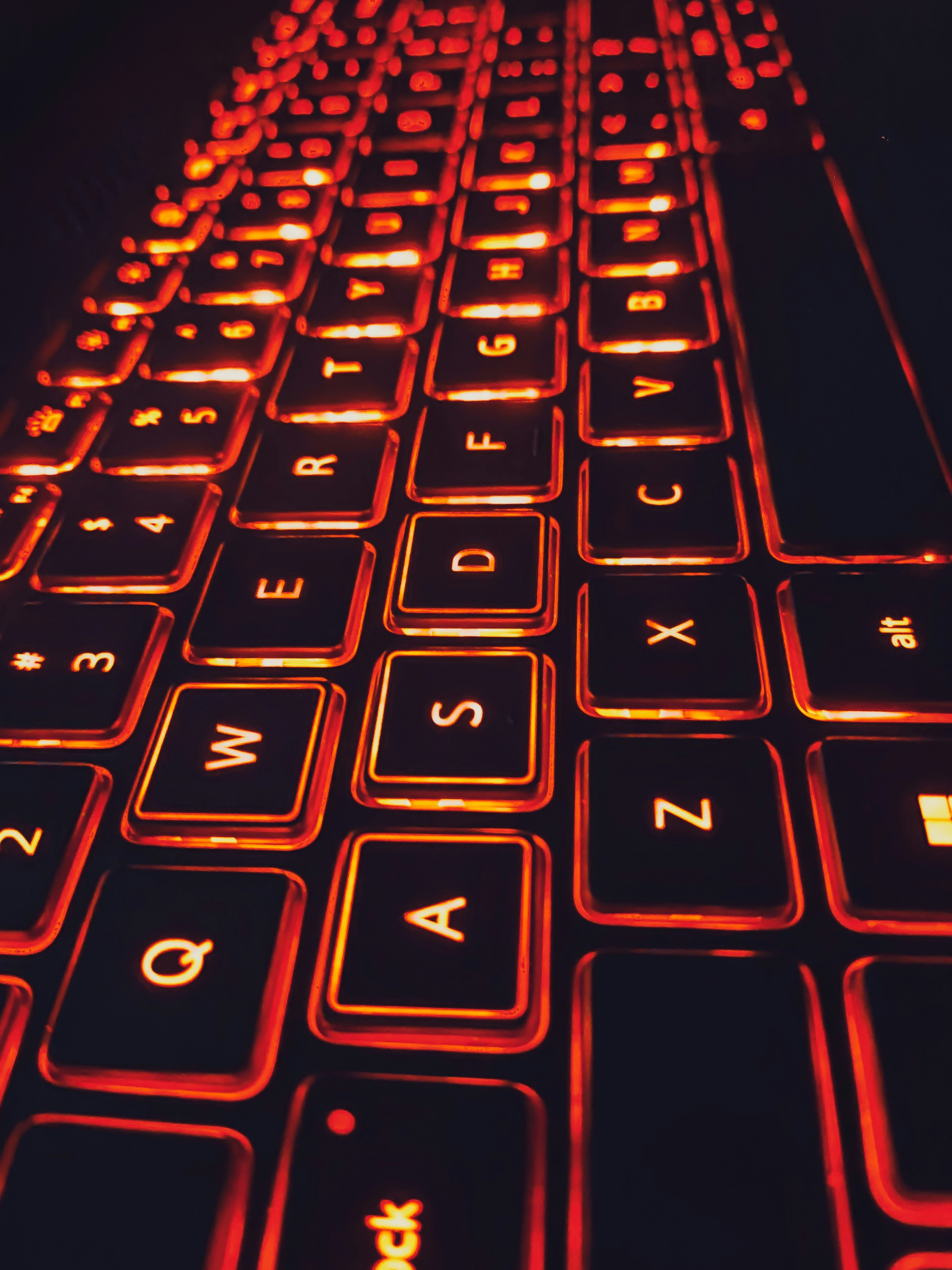 Sunil Ray (@ray027) | Unsplash Photo Community