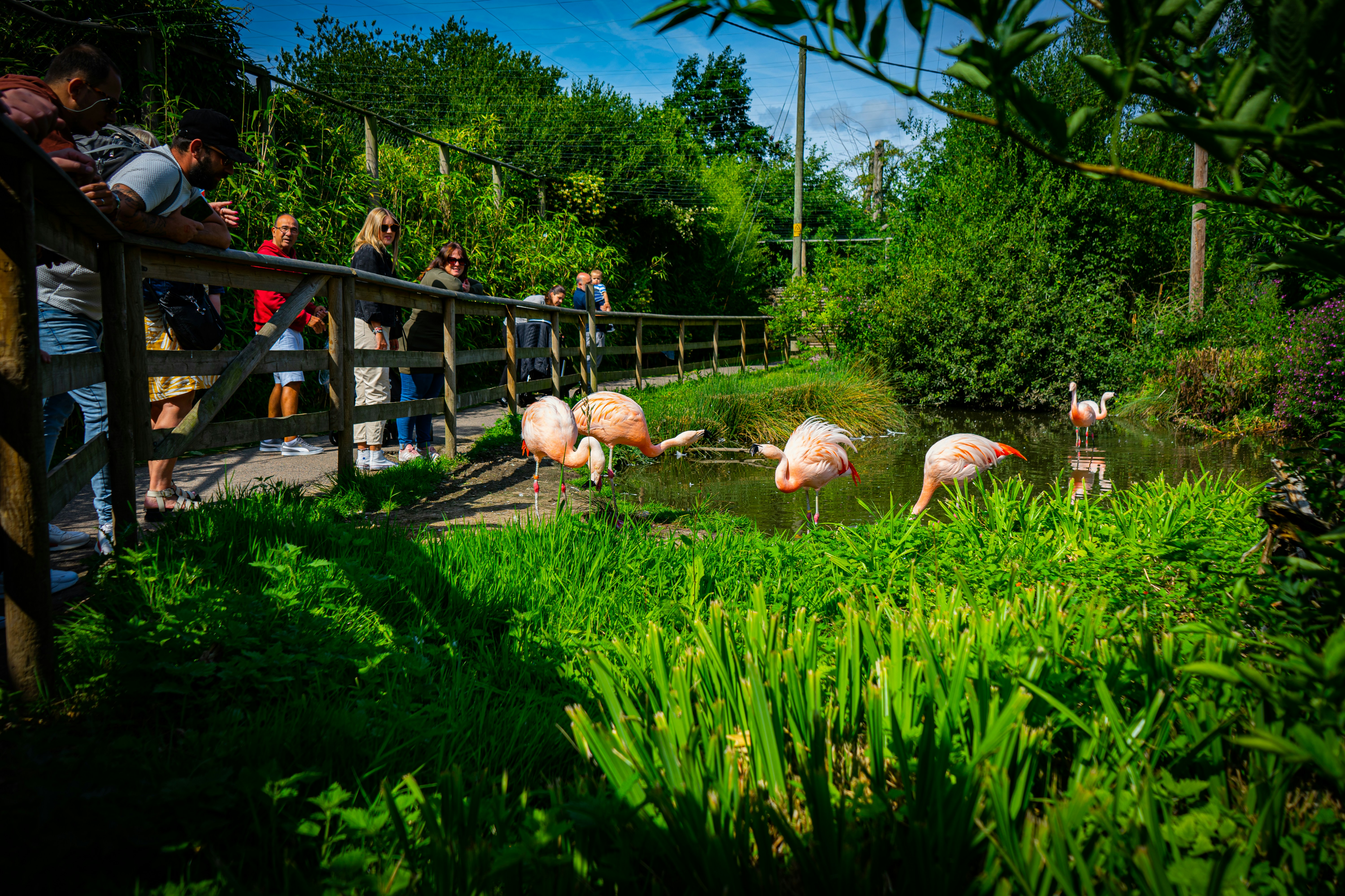 Photo by Louis Tripp with Sony Alpha 7 II