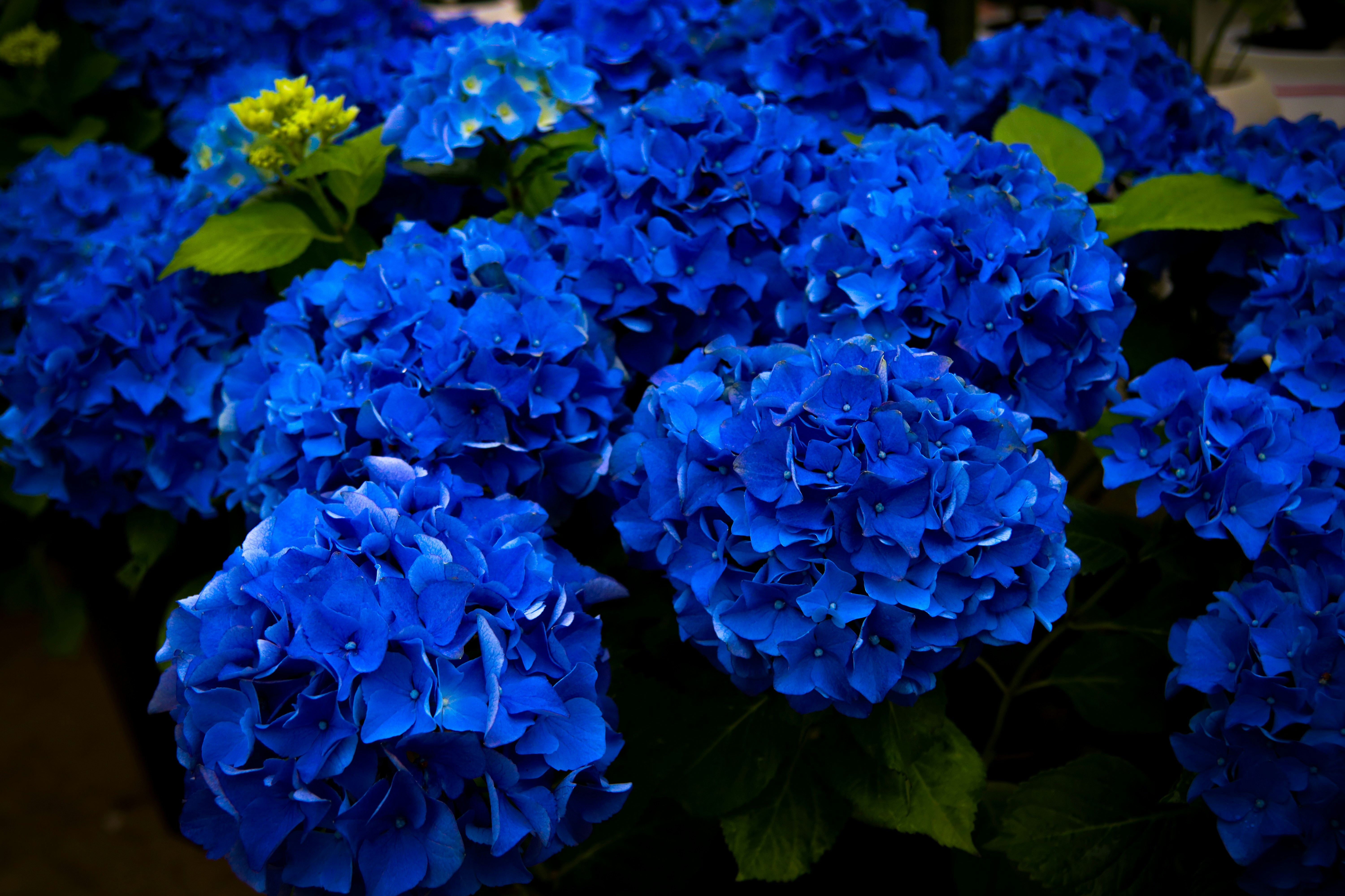 Photo by Jisoo Park with Canon EOS M200