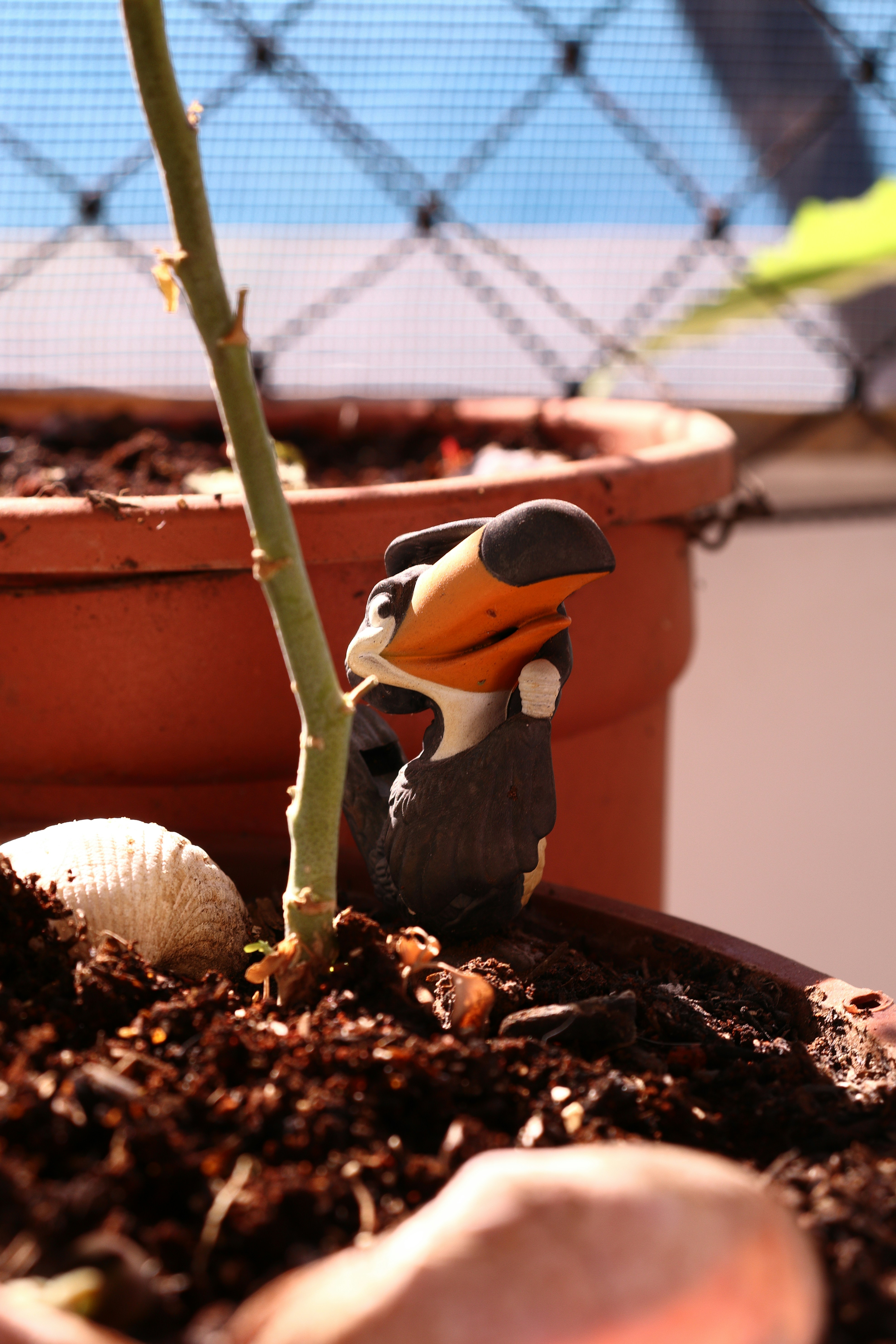 Photo by Rafael Otaki with Canon EOS 250D