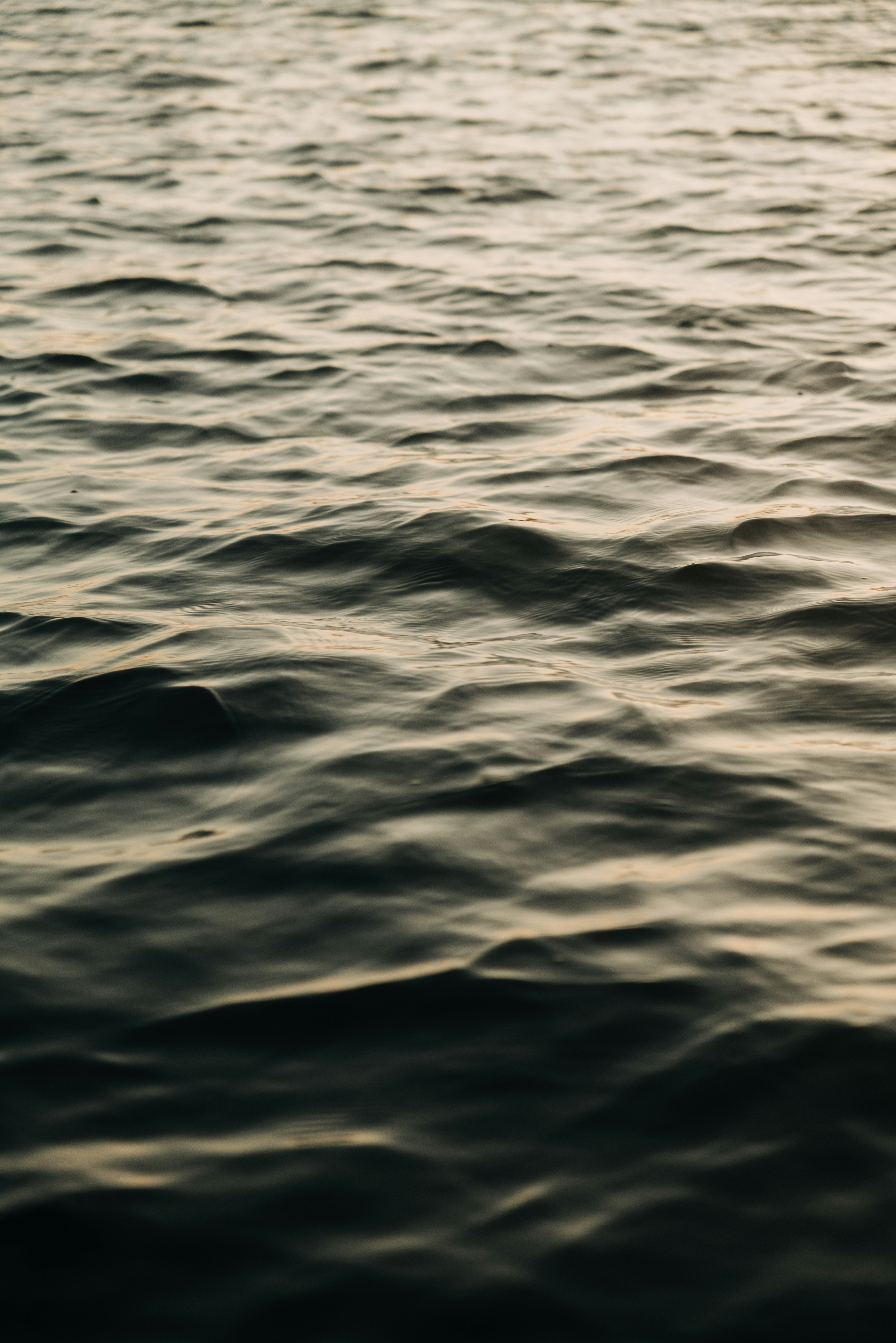 A body of water that has some waves in it photo – Free Nature Image on ...