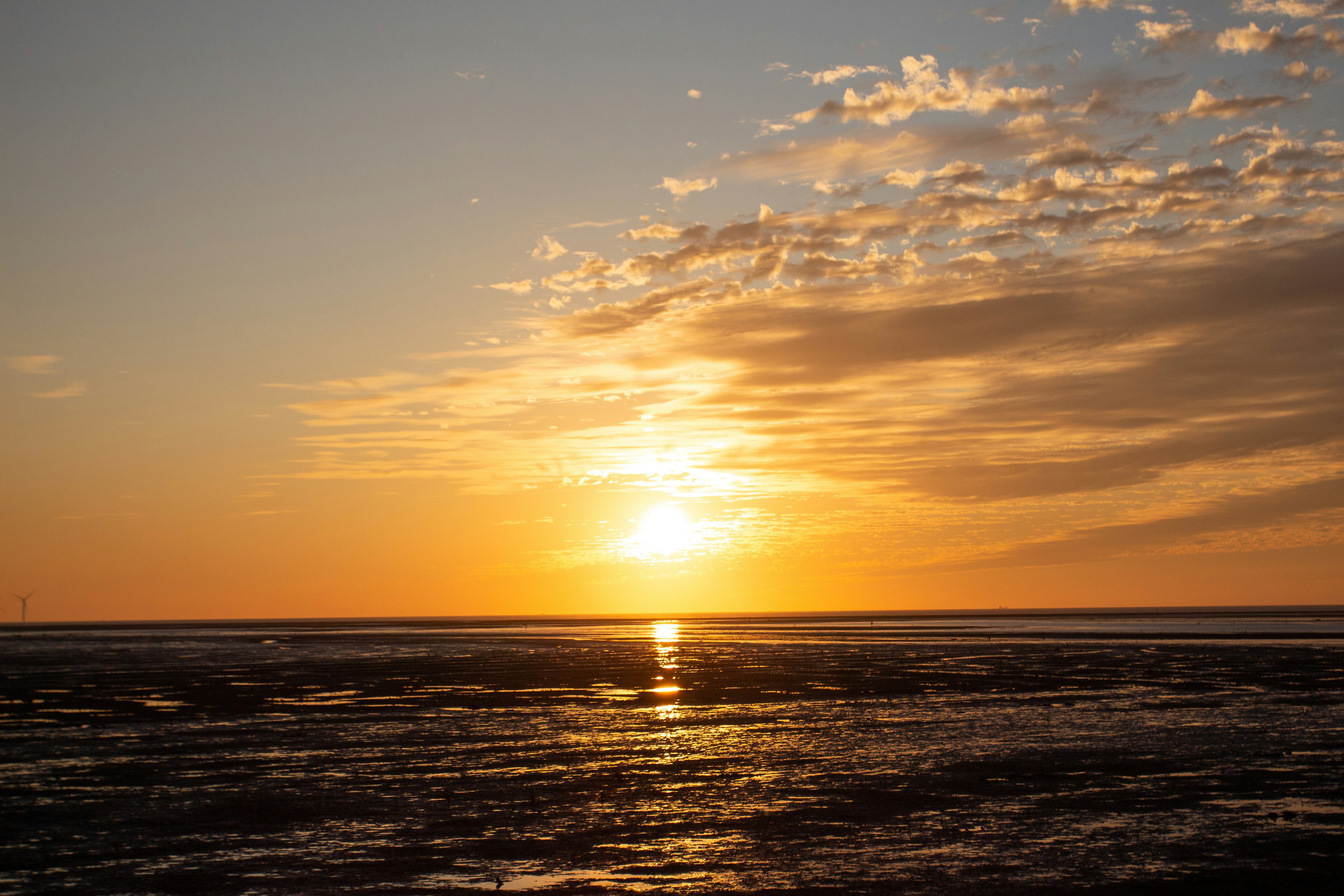 Anstice Lin (@fishonland_photo) | Unsplash Photo Community