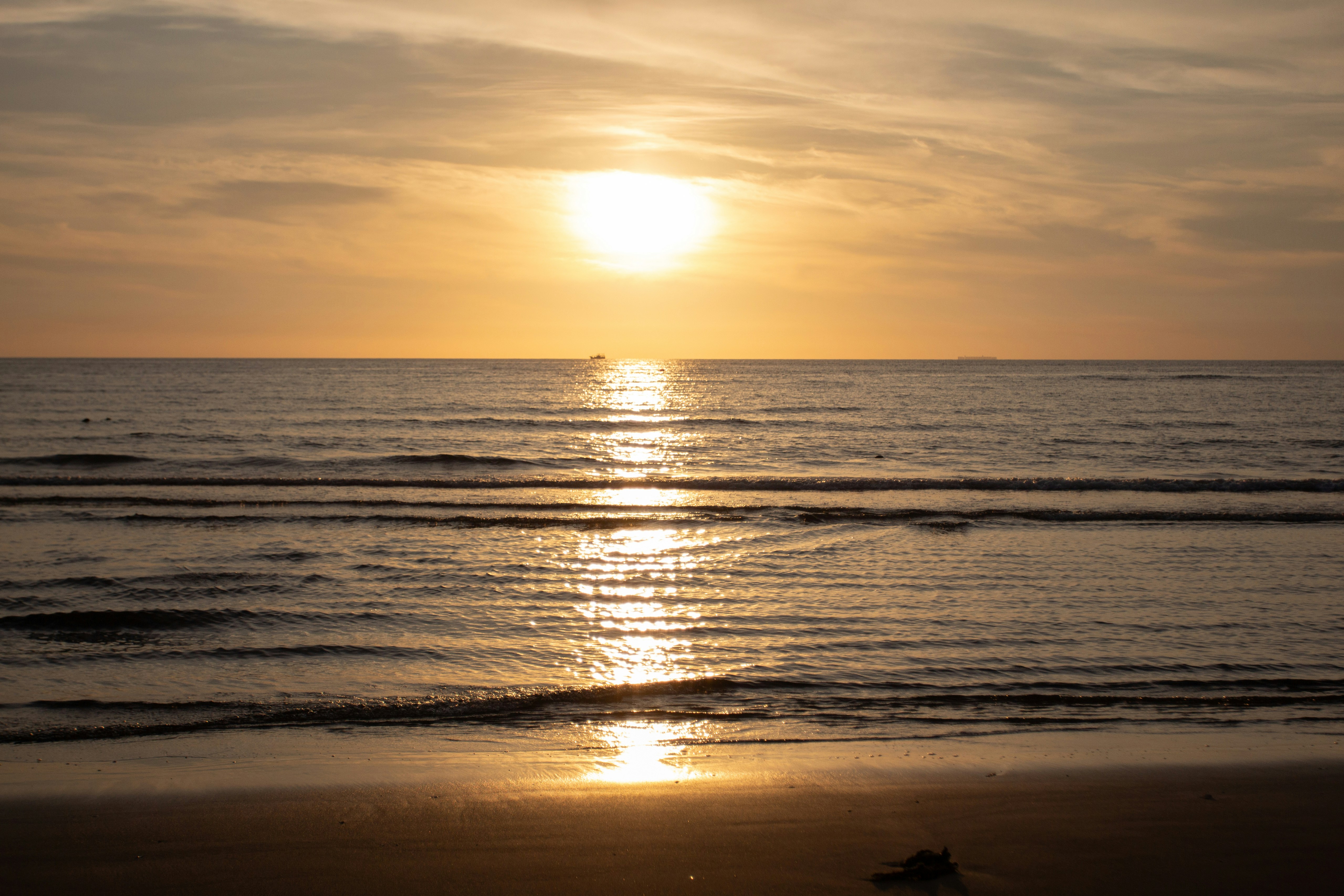 Anstice Lin (@fishonland_photo) | Unsplash Photo Community