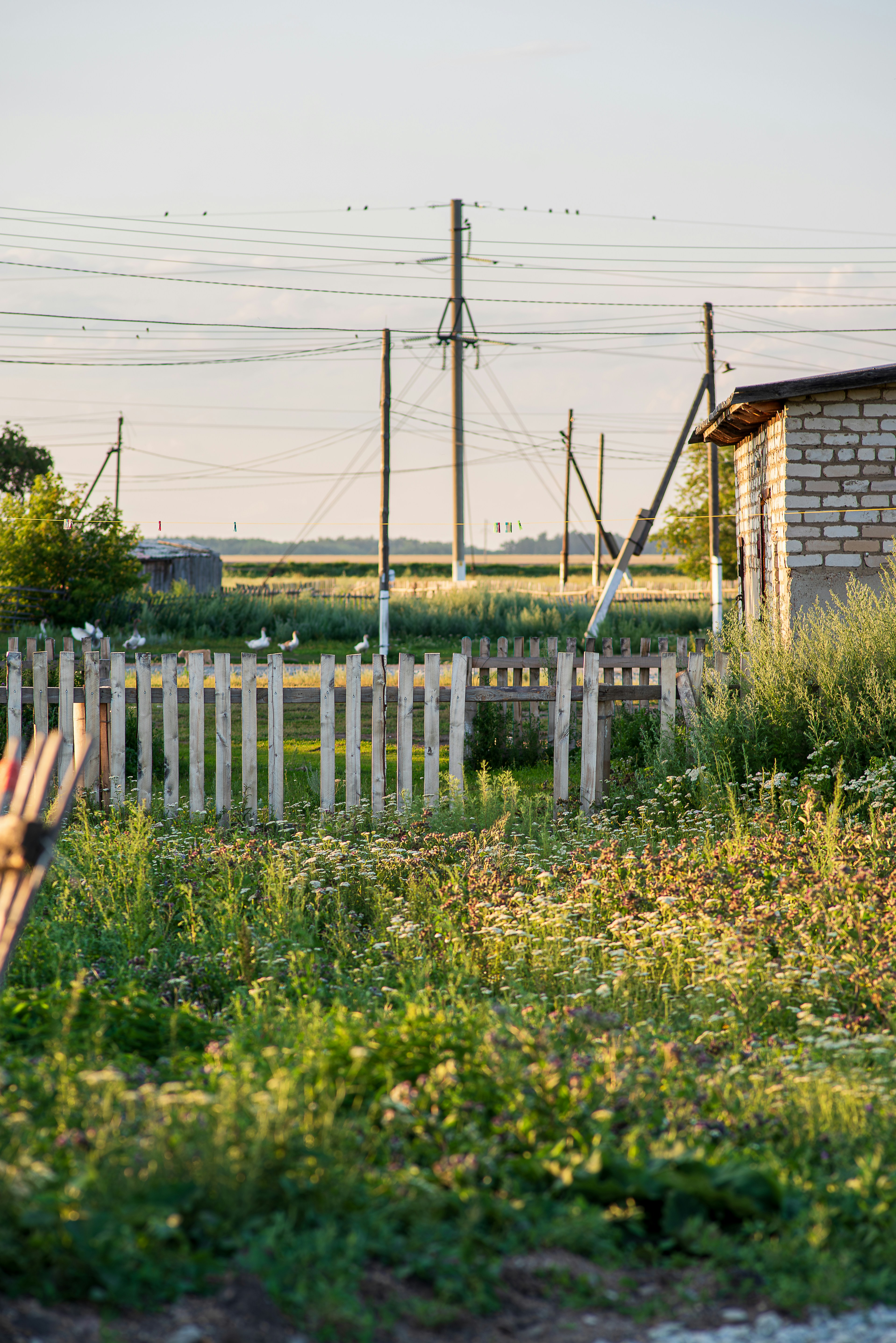 Golden-hour Grid: Weathered Fence and Distant Poles Framing a Quiet Rural Landscape