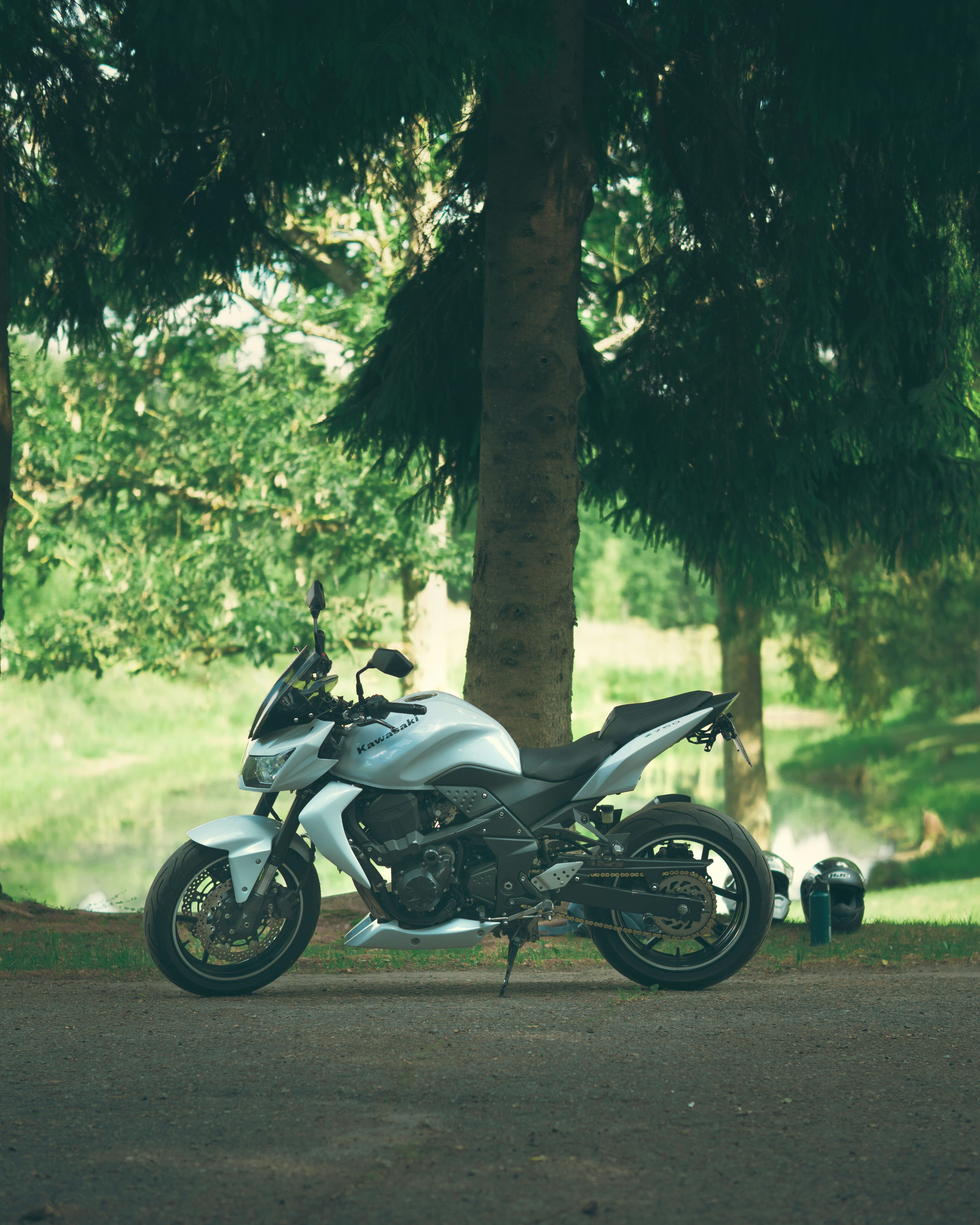 A motorcycle parked in the shade of a tree photo – Free Rojus Image on ...