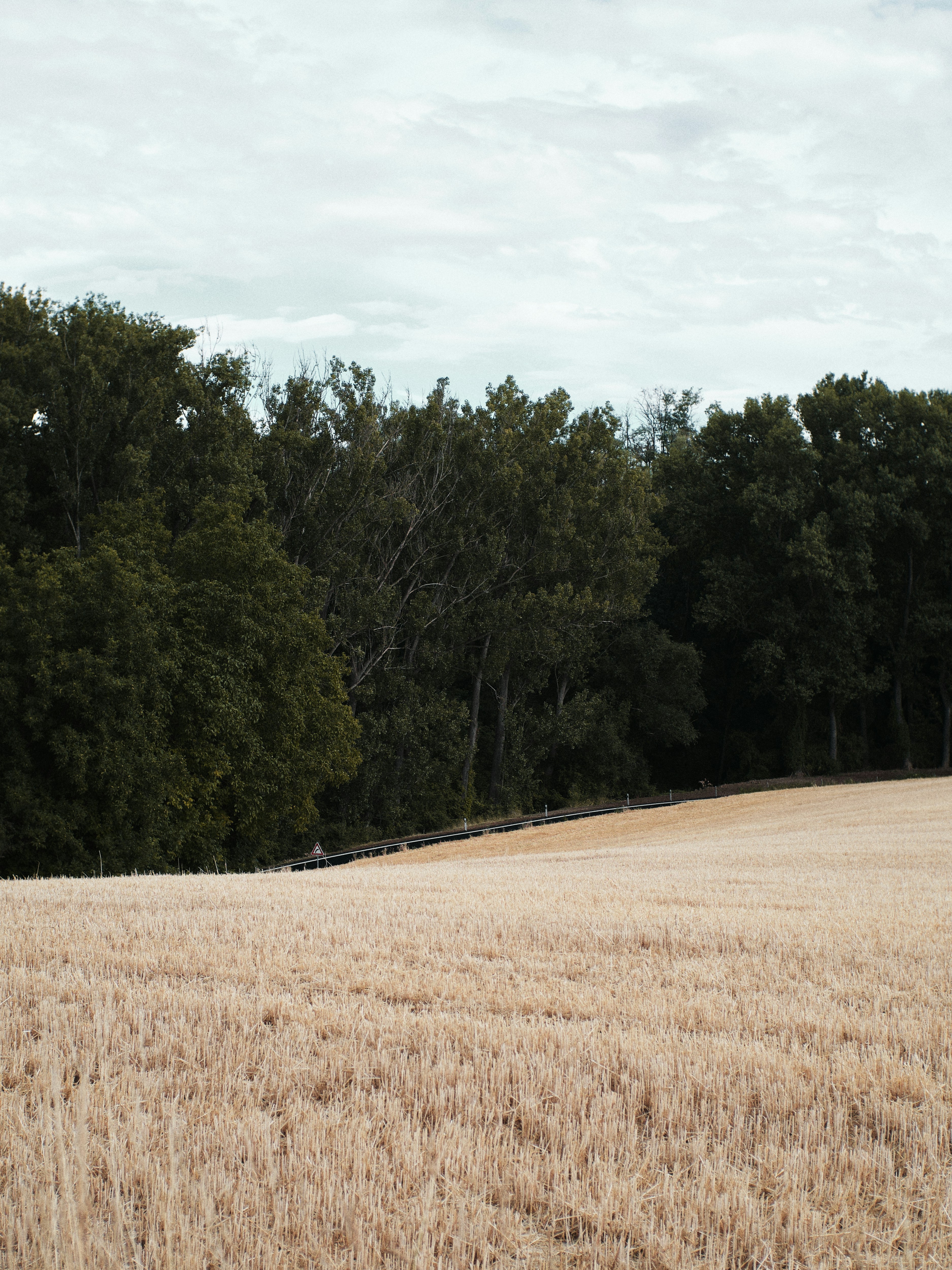 Sample photo from Fujifilm X-S20