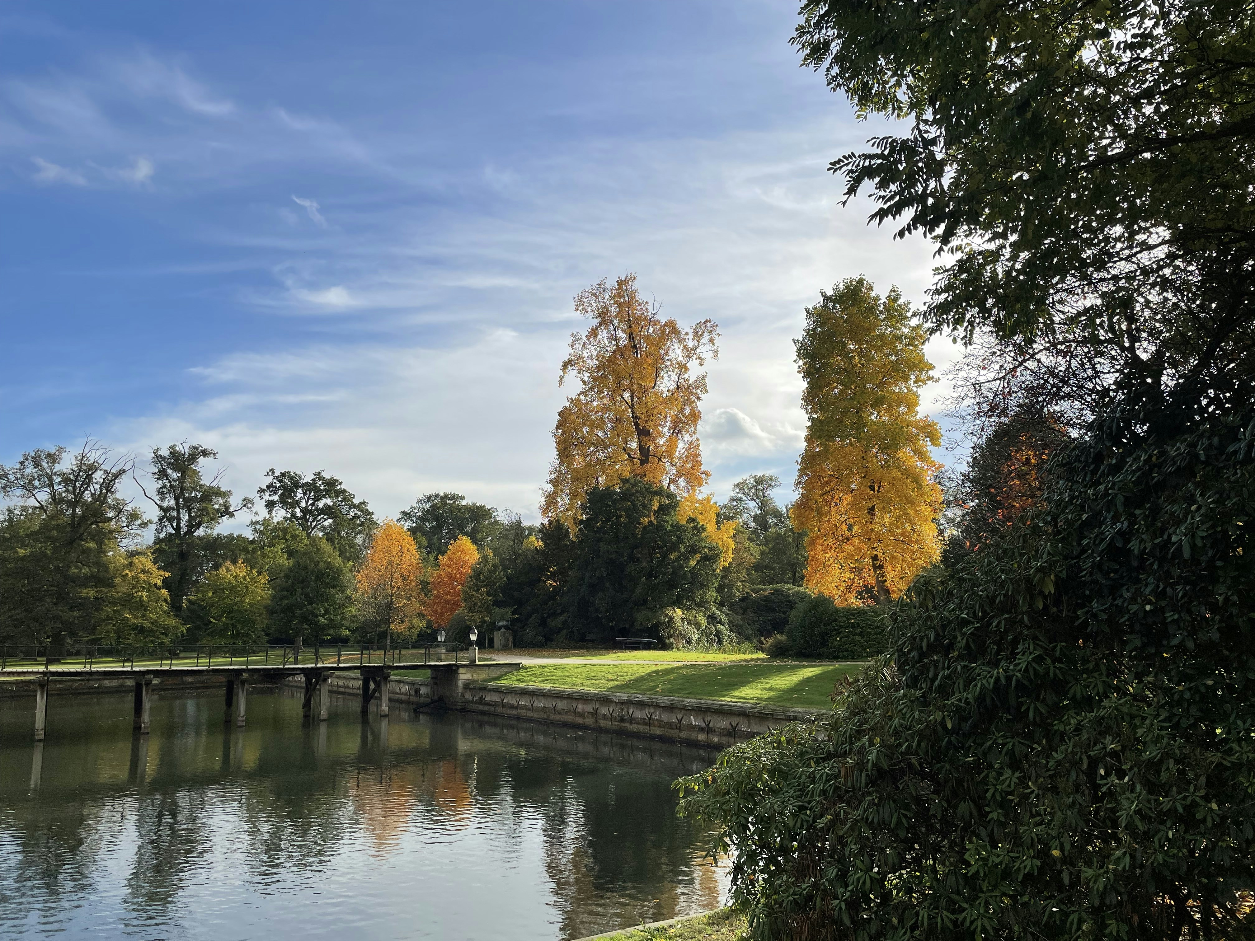 A body of water surrounded by trees and a bridge photo – Free Nature ...
