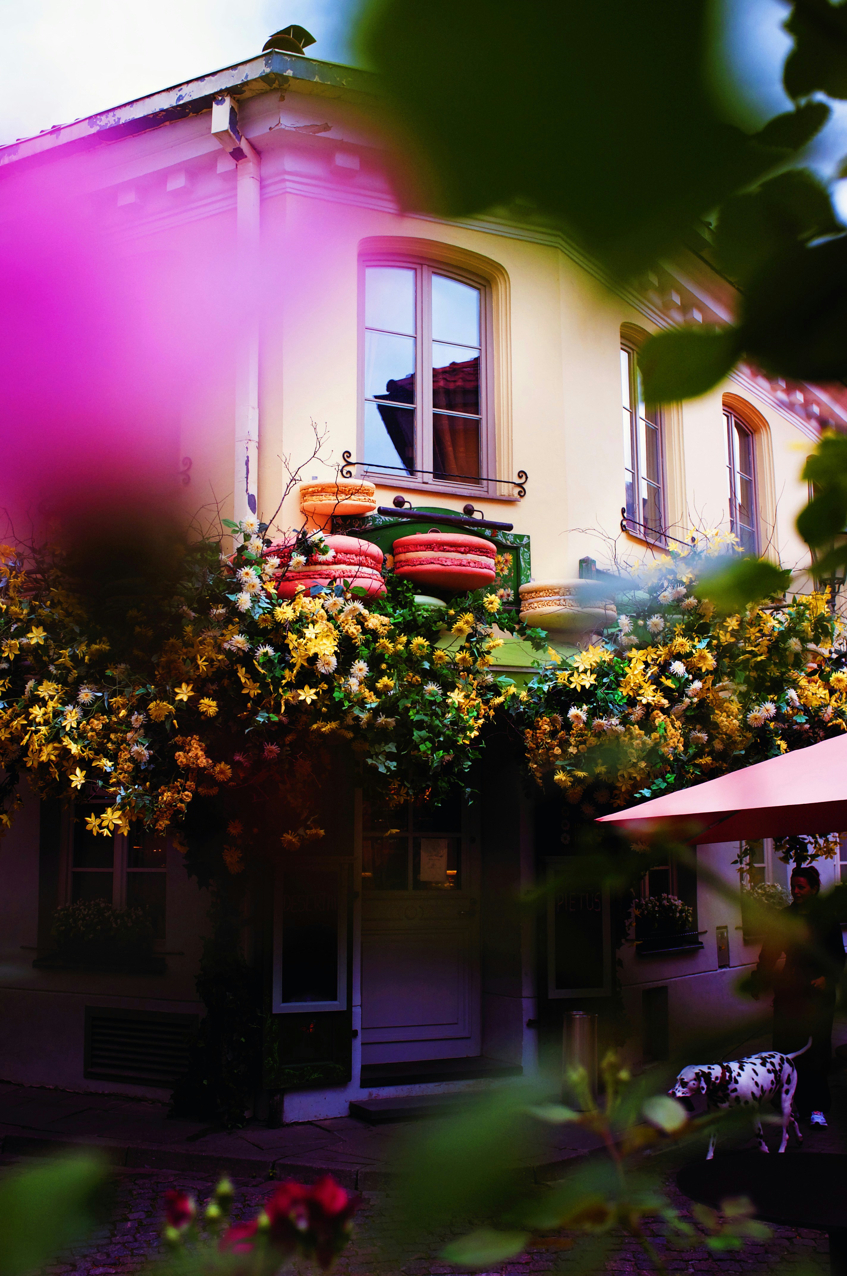 Photo by Aleksey Cherenkevich with Fujifilm X100