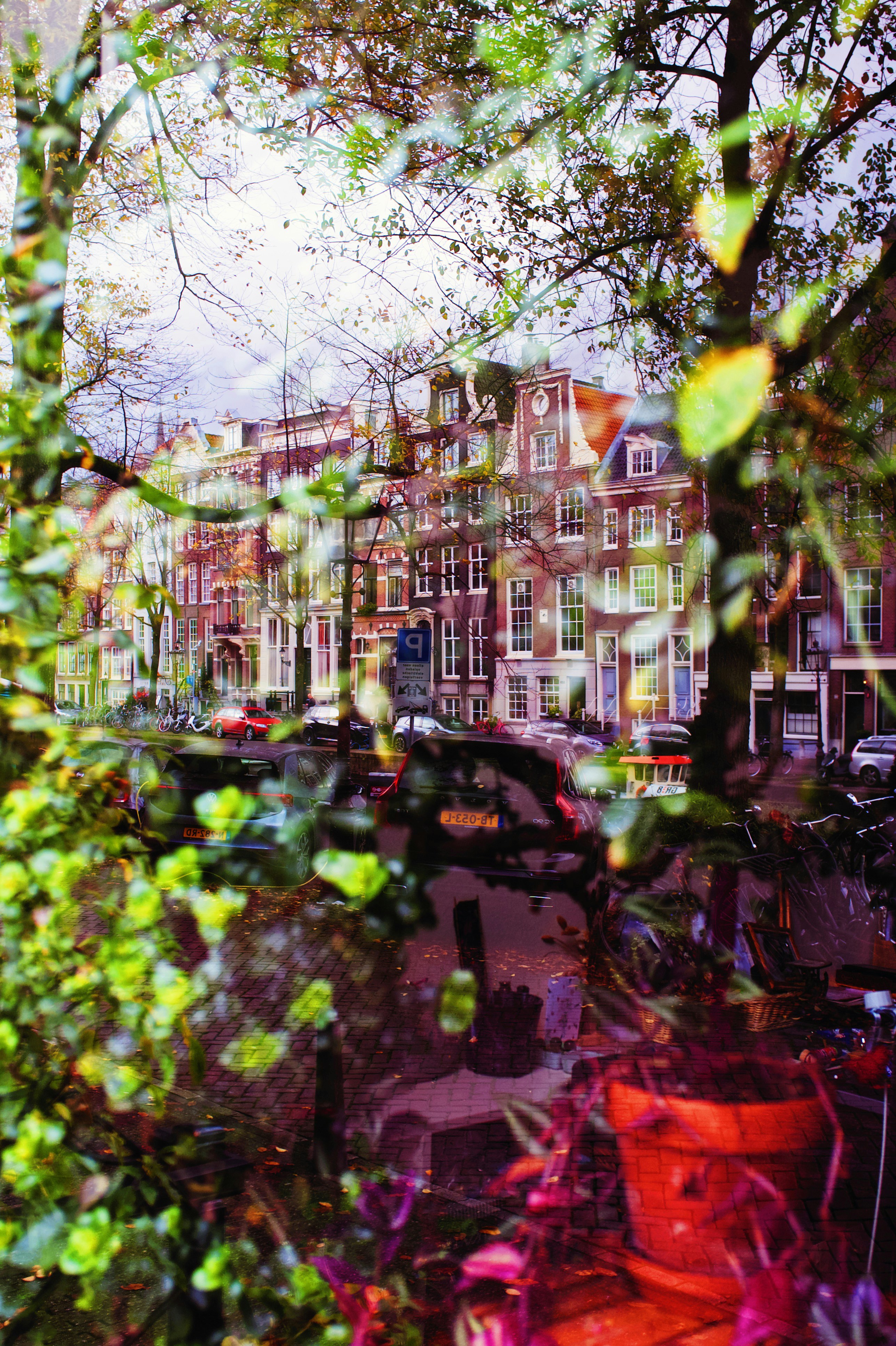 Leaves Veiling the City: Brick Gables Through a Double-Exposure