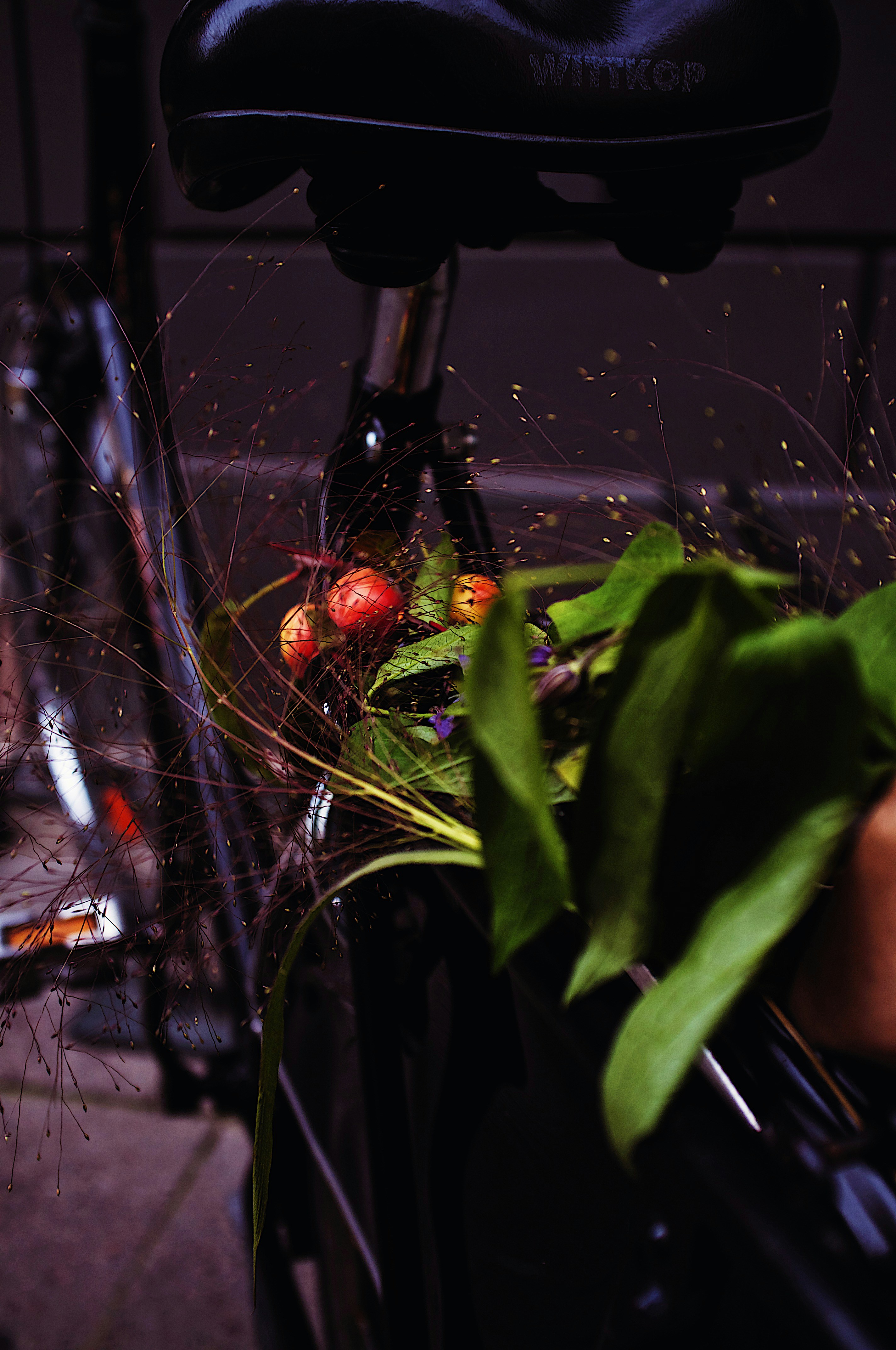 Urban bicycle bouquet: leaves and berries tangled on a parked ride