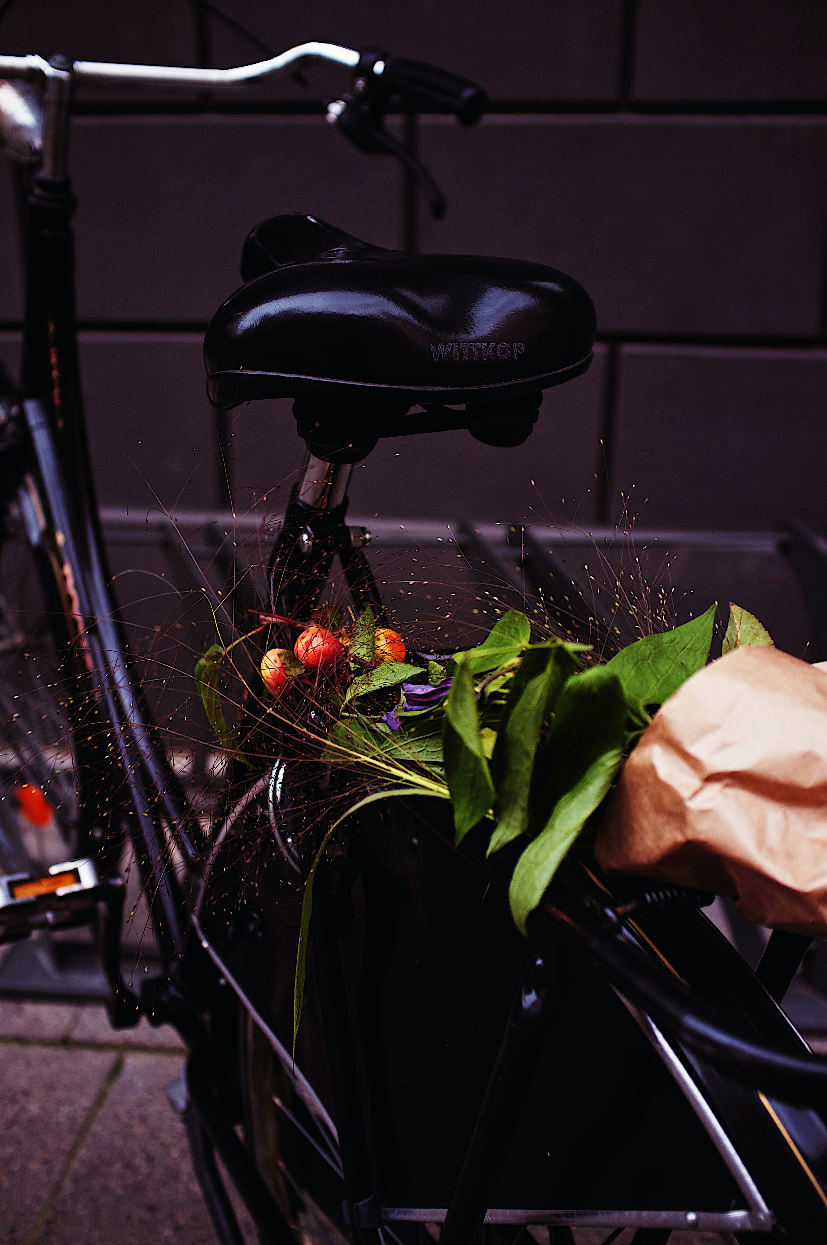 Front-Basket Bouquet: A City Bicycle’s Burst of Green and Red