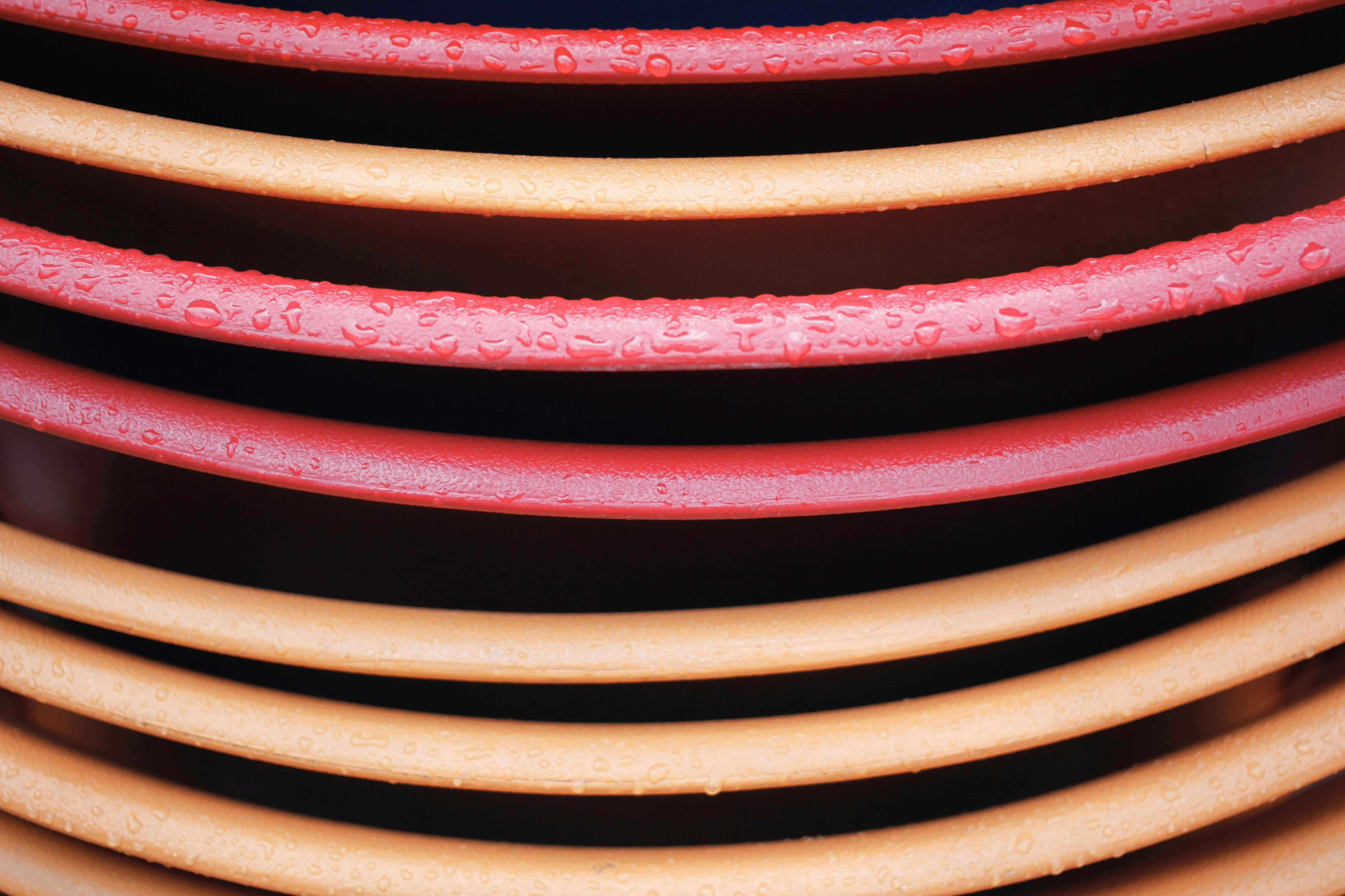 Coiled Cadence: A Macro Study of Rain-Kissed Hose Rings