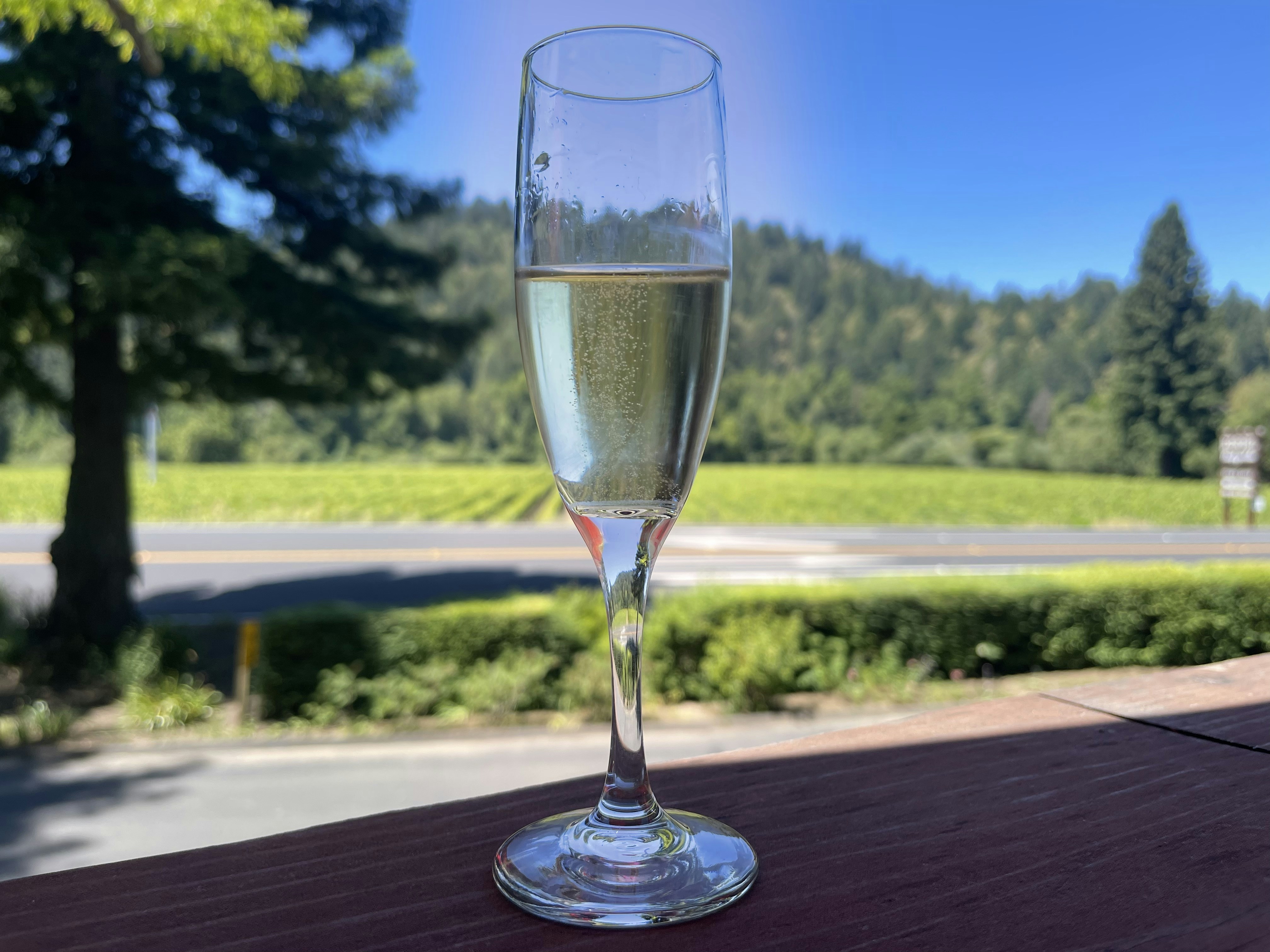 Glass of Sparkling Light: A Sunlit Sip in a Verdant Park