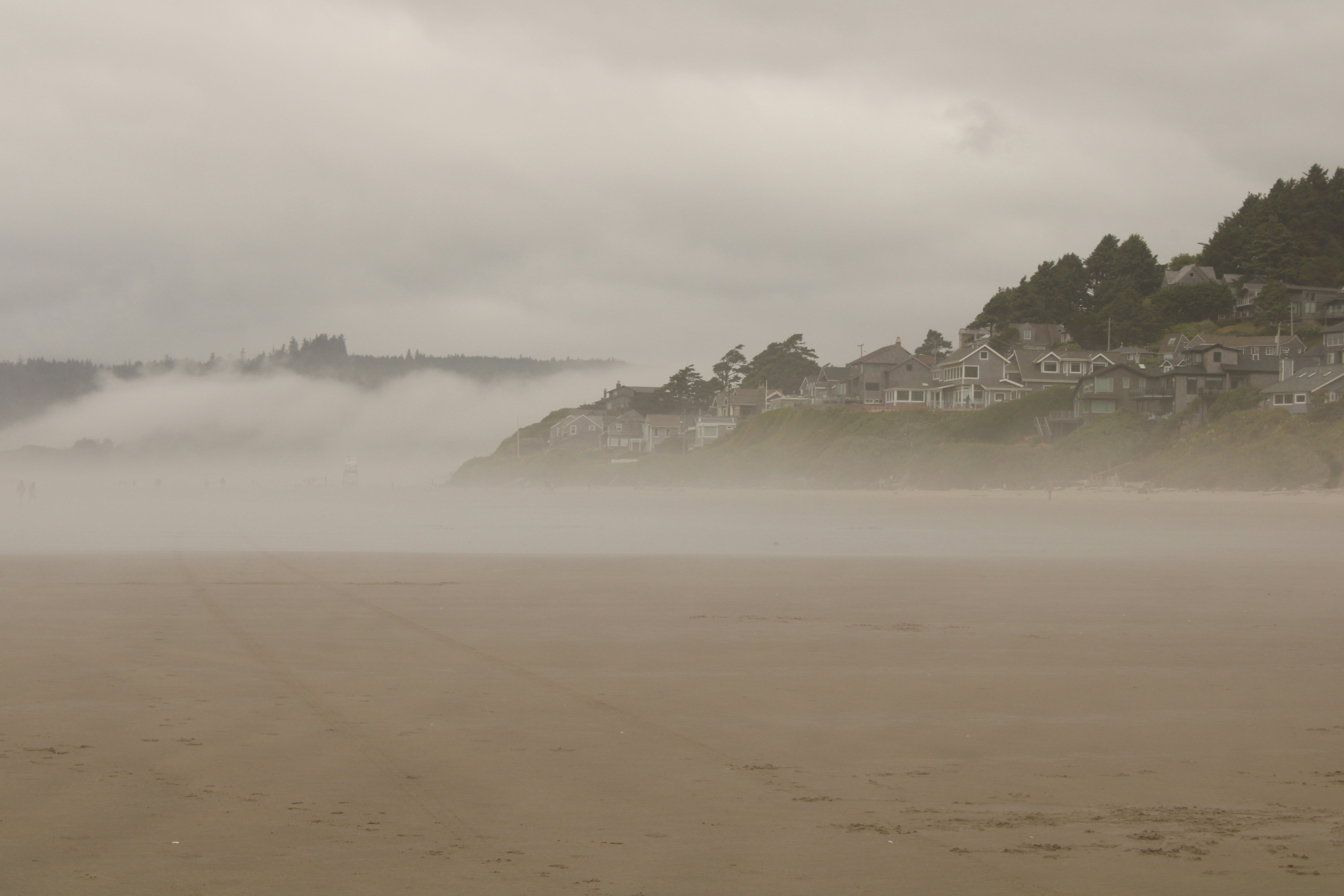 Fog bank rolling from the land onto a beach.