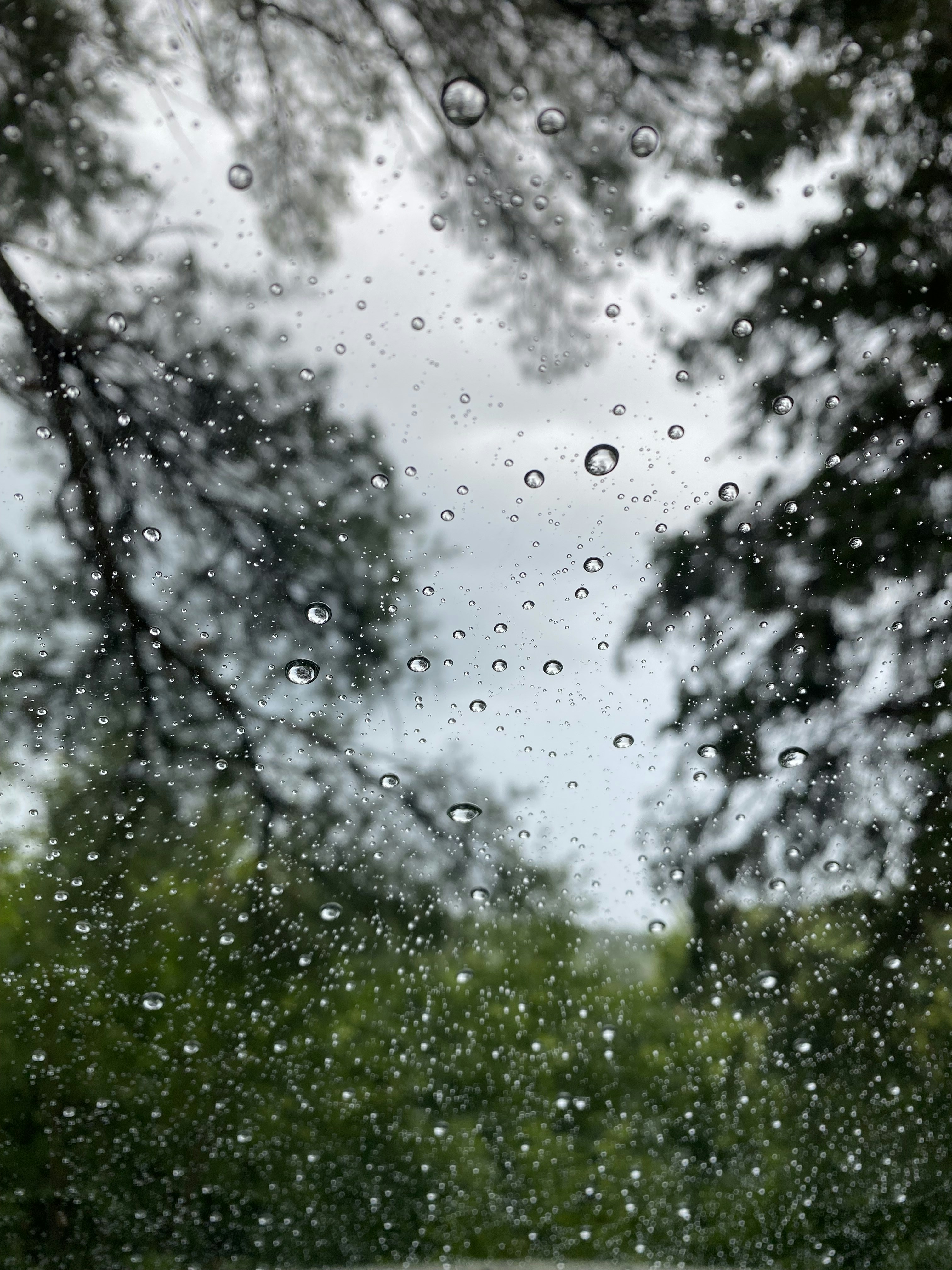 A rain soaked window with trees in the background photo – Free Summer ...