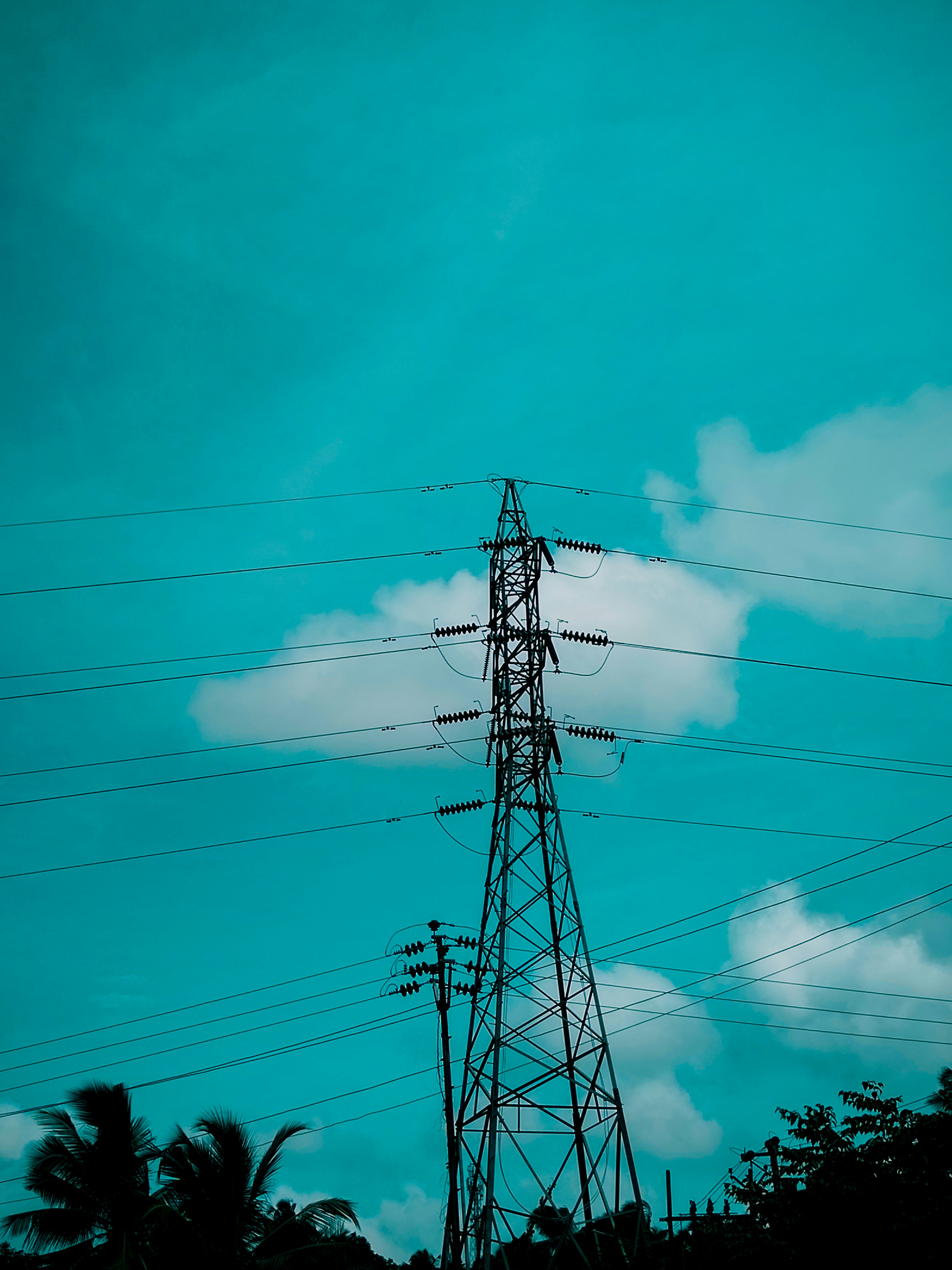 Photo by Muneeb Muhamed with Honor X8