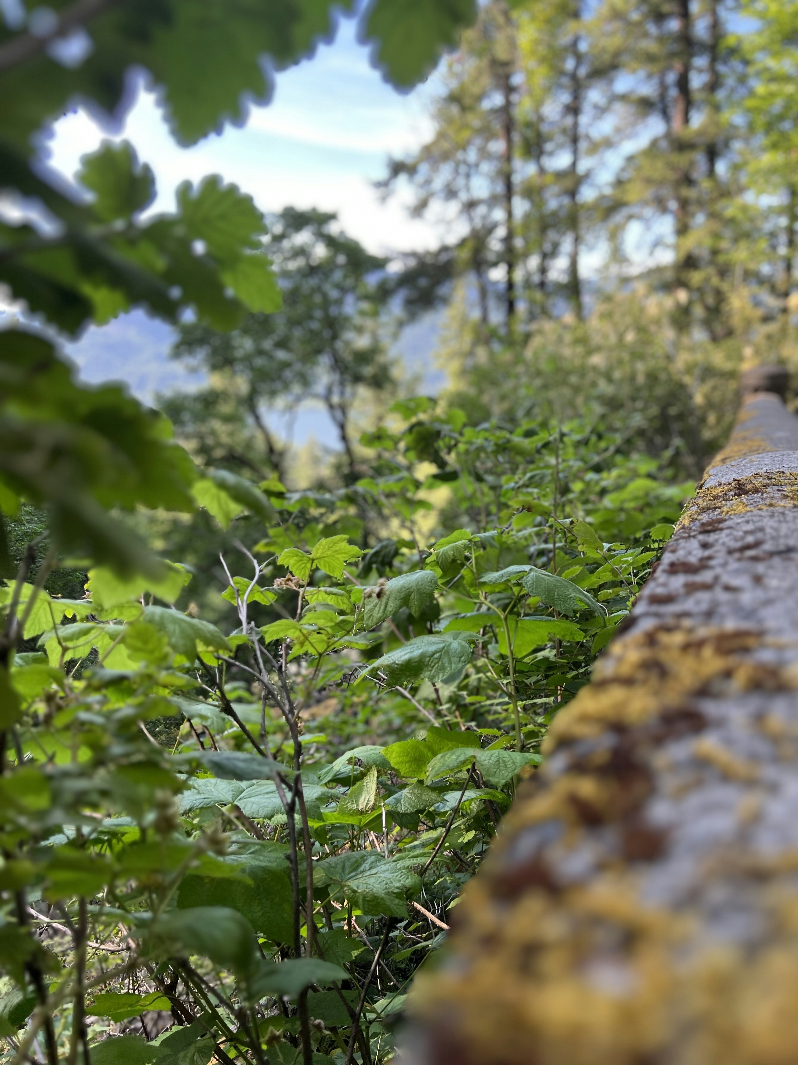 Rachel (@rchll) | Unsplash Photo Community