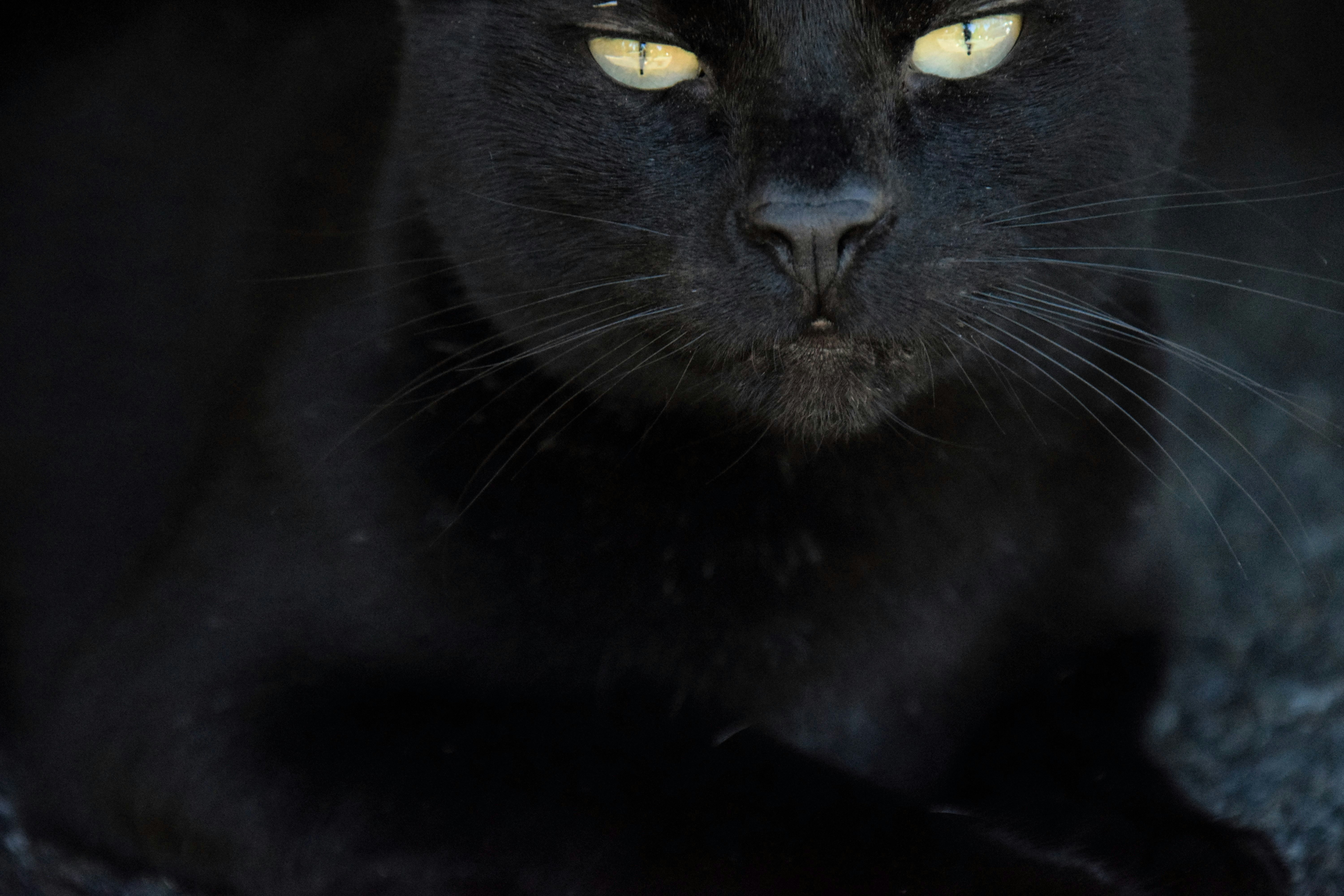 Photo by fr0ggy5 with Nikon D3300