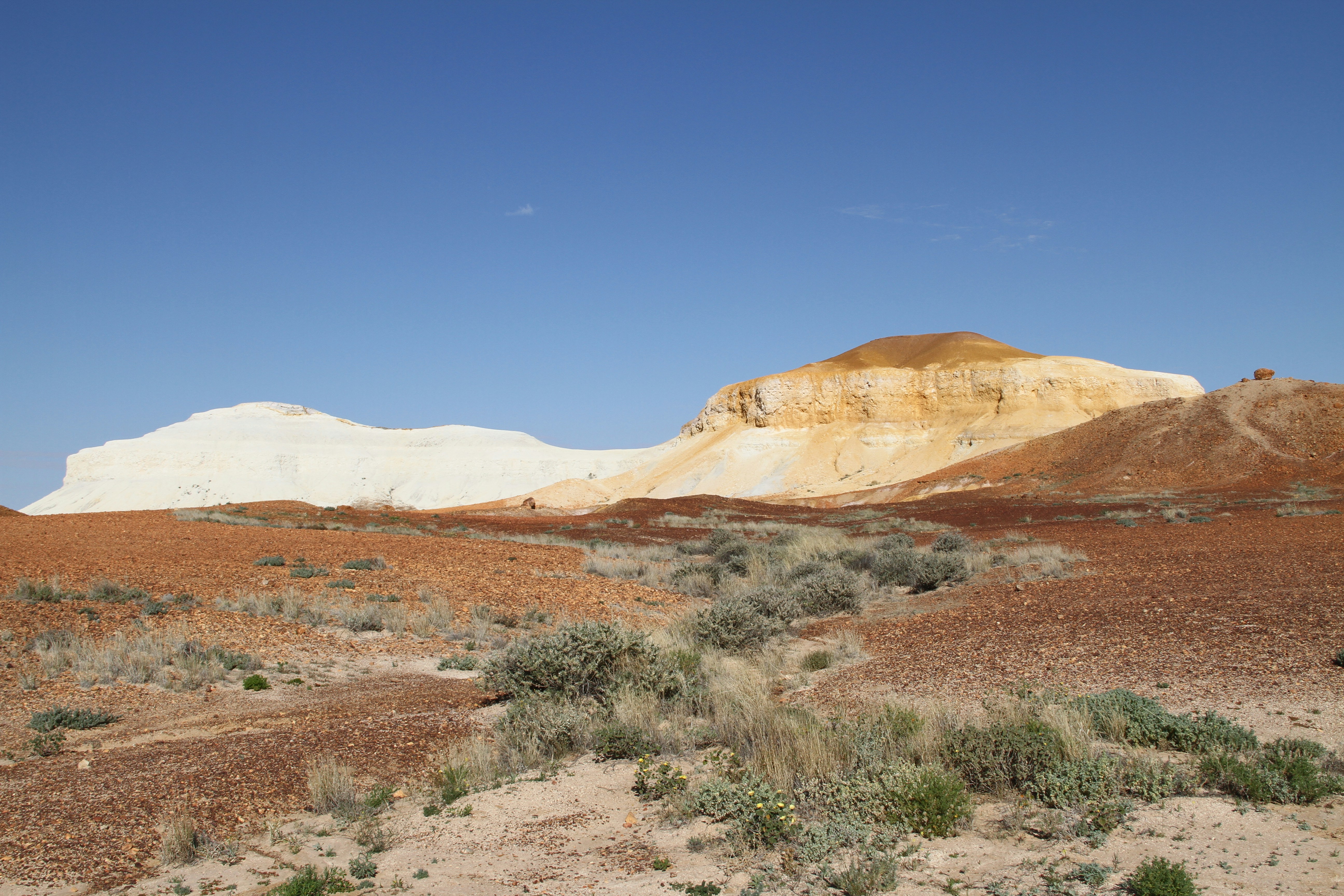 Un paysage désertique avec une montagne en arrière-plan photo – Photo ...