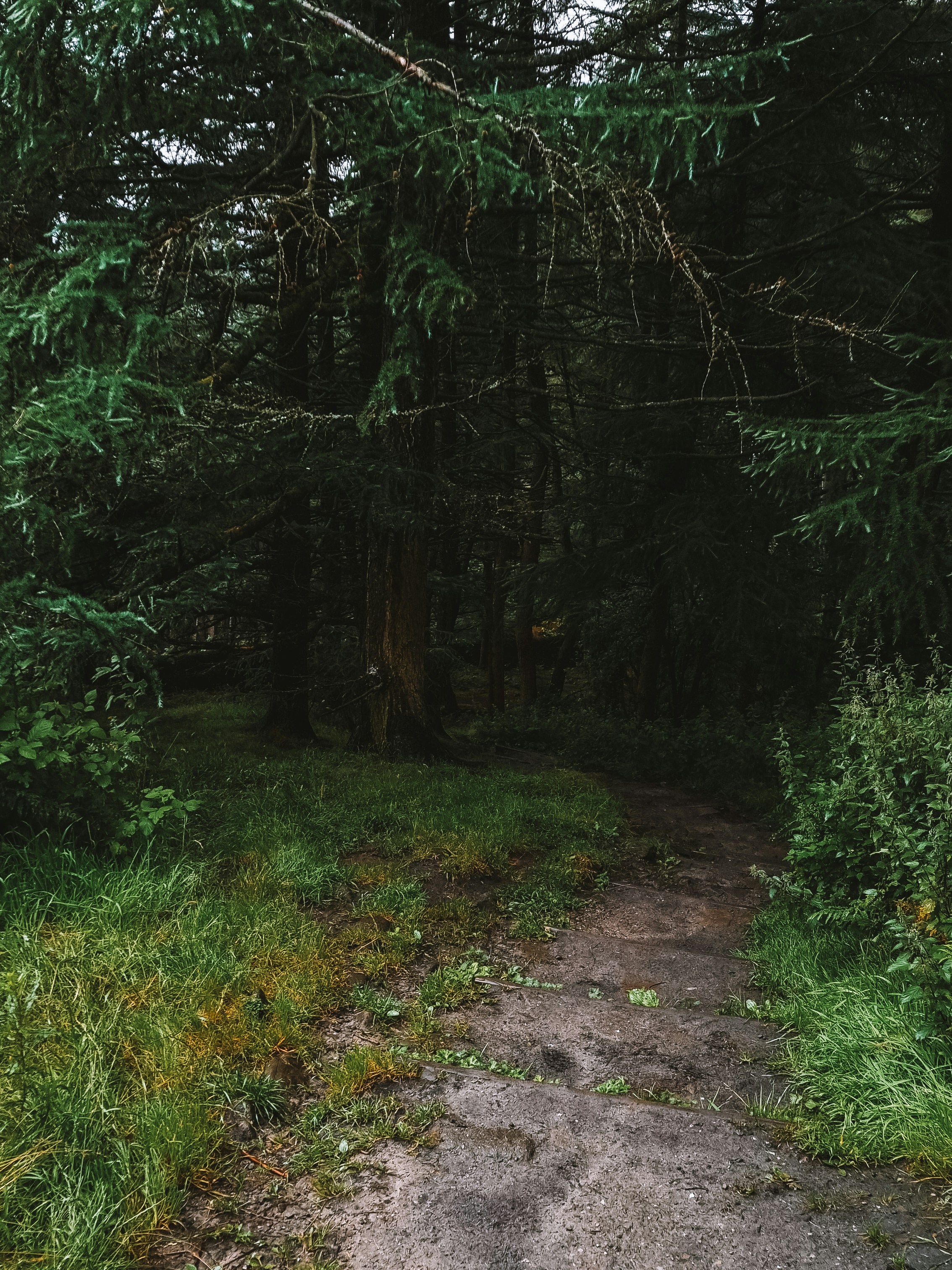 Photo by Luke Roberts with Samsung Galaxy S21