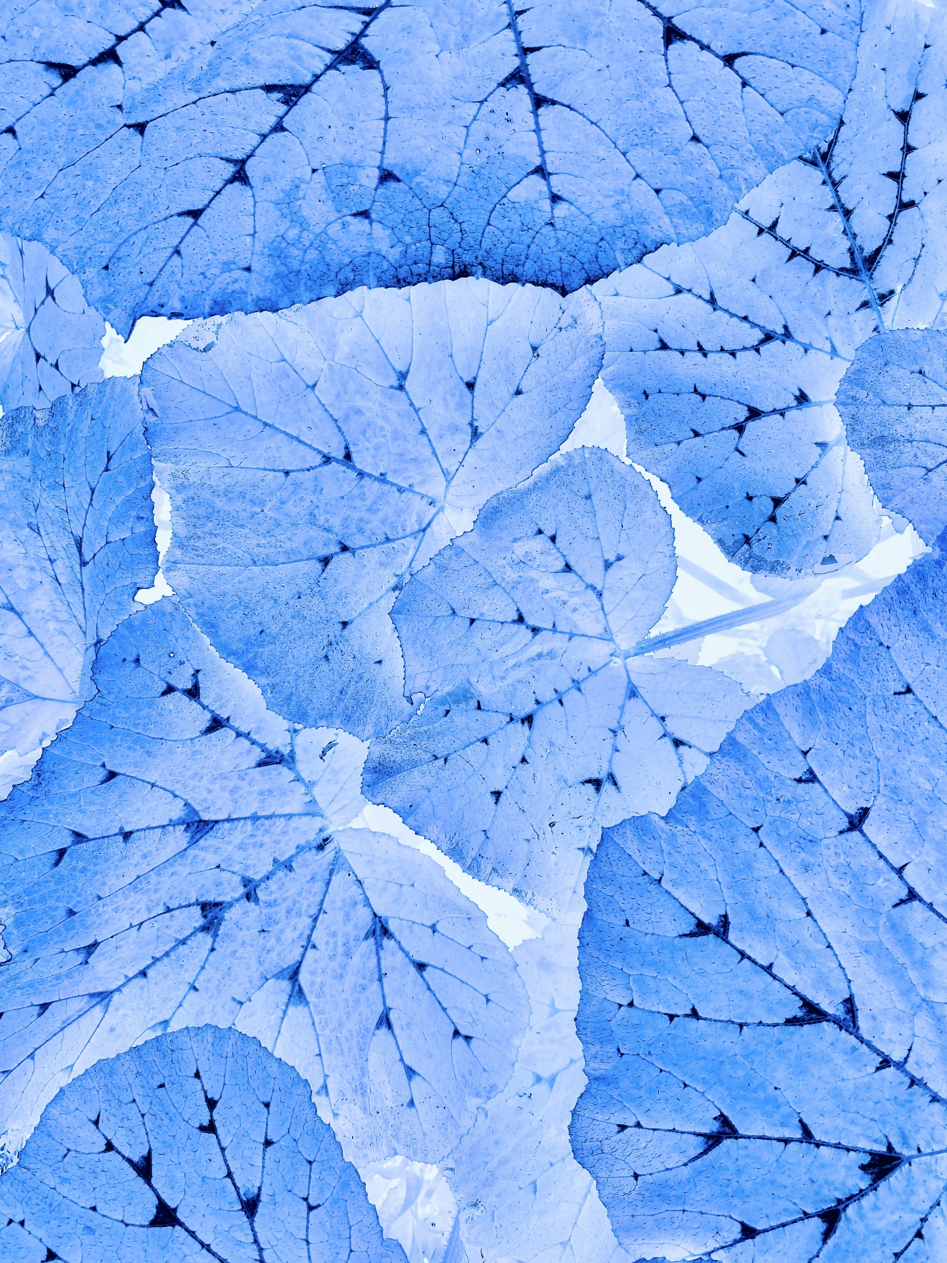 Photo by Eugene Golovesov with Apple iPhone 11 Pro