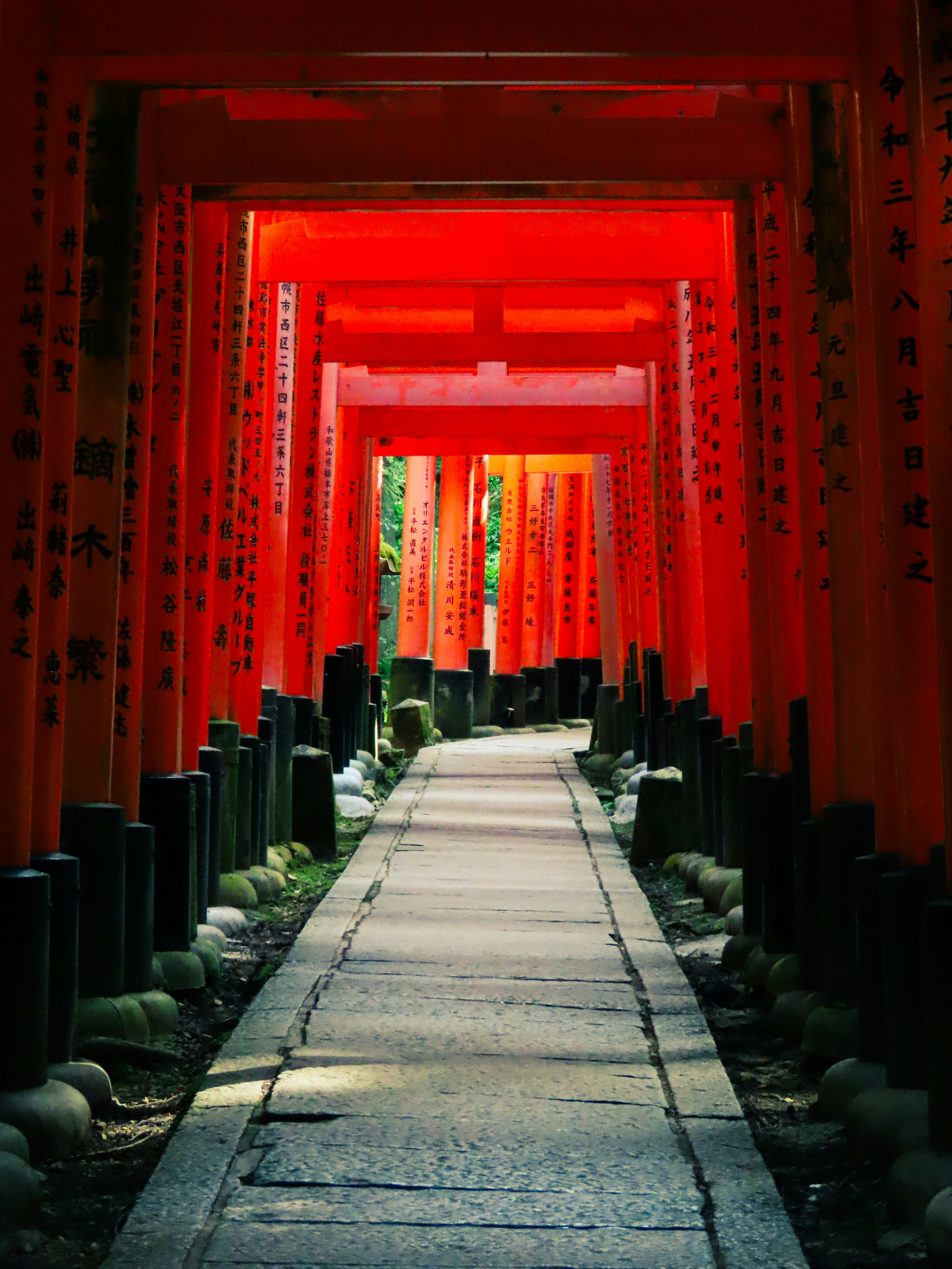 Photograph of a stone path winding through a corridor of bright red torii gates, each inscribed with black characters. The tunnel narrows toward a distant glow.