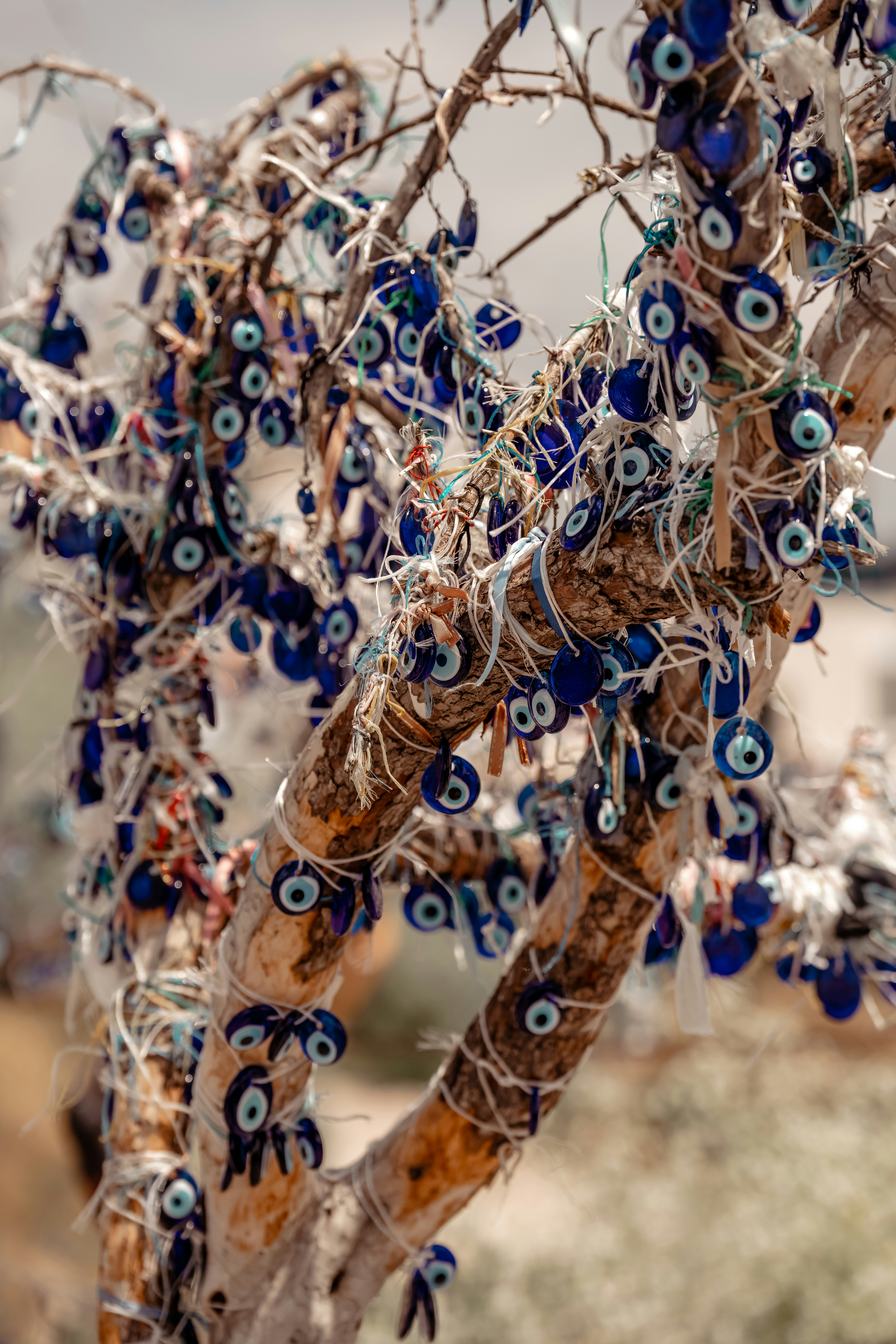 Evil Eye Tree Turkey