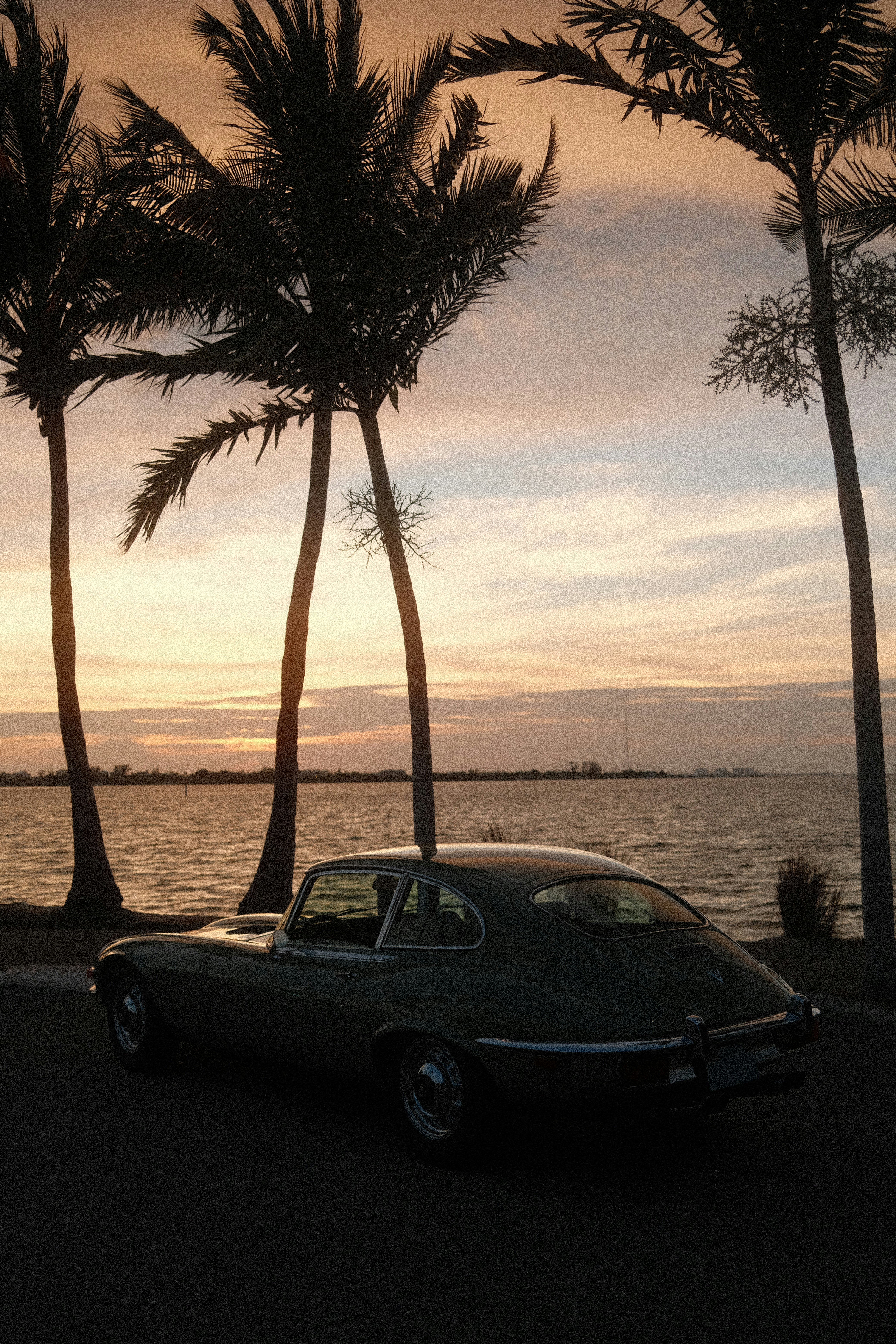 Sunset Reverie by Palm Arches: A Vintage Coupe at the Waterfront