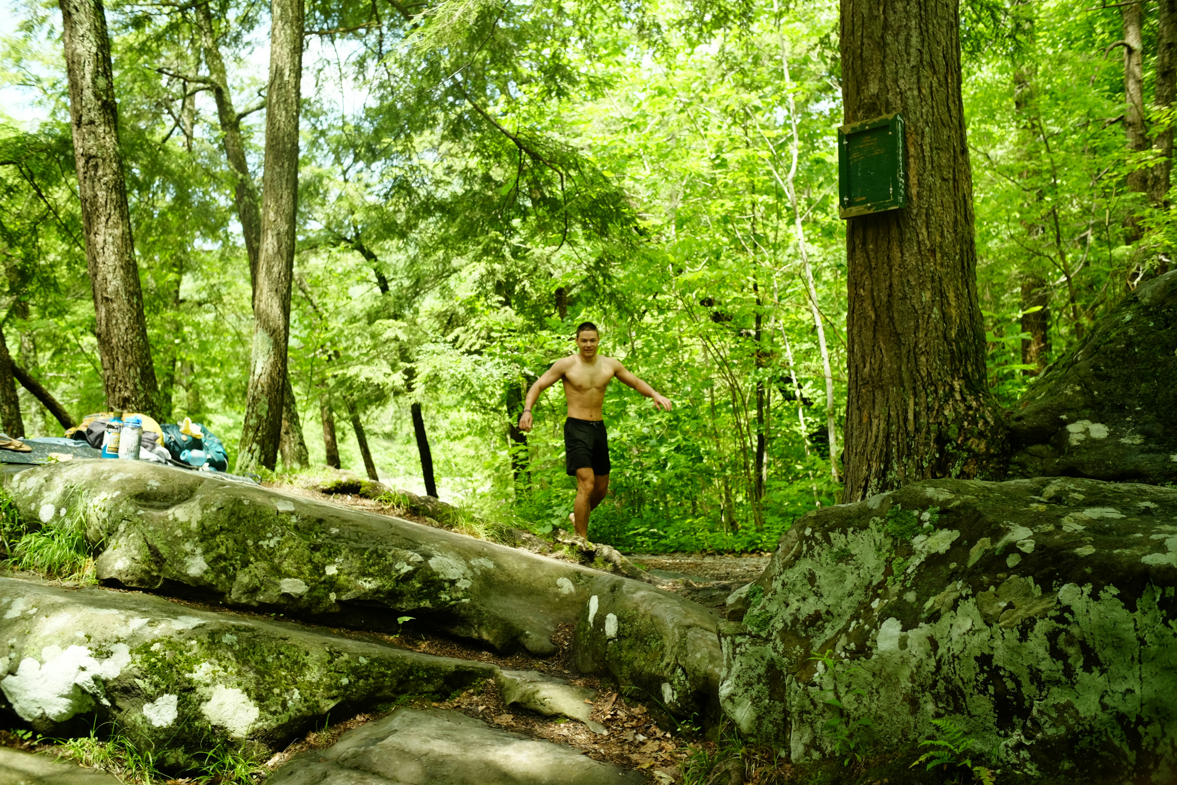 Sunlit Forest Sprint Across Mossy Boulders