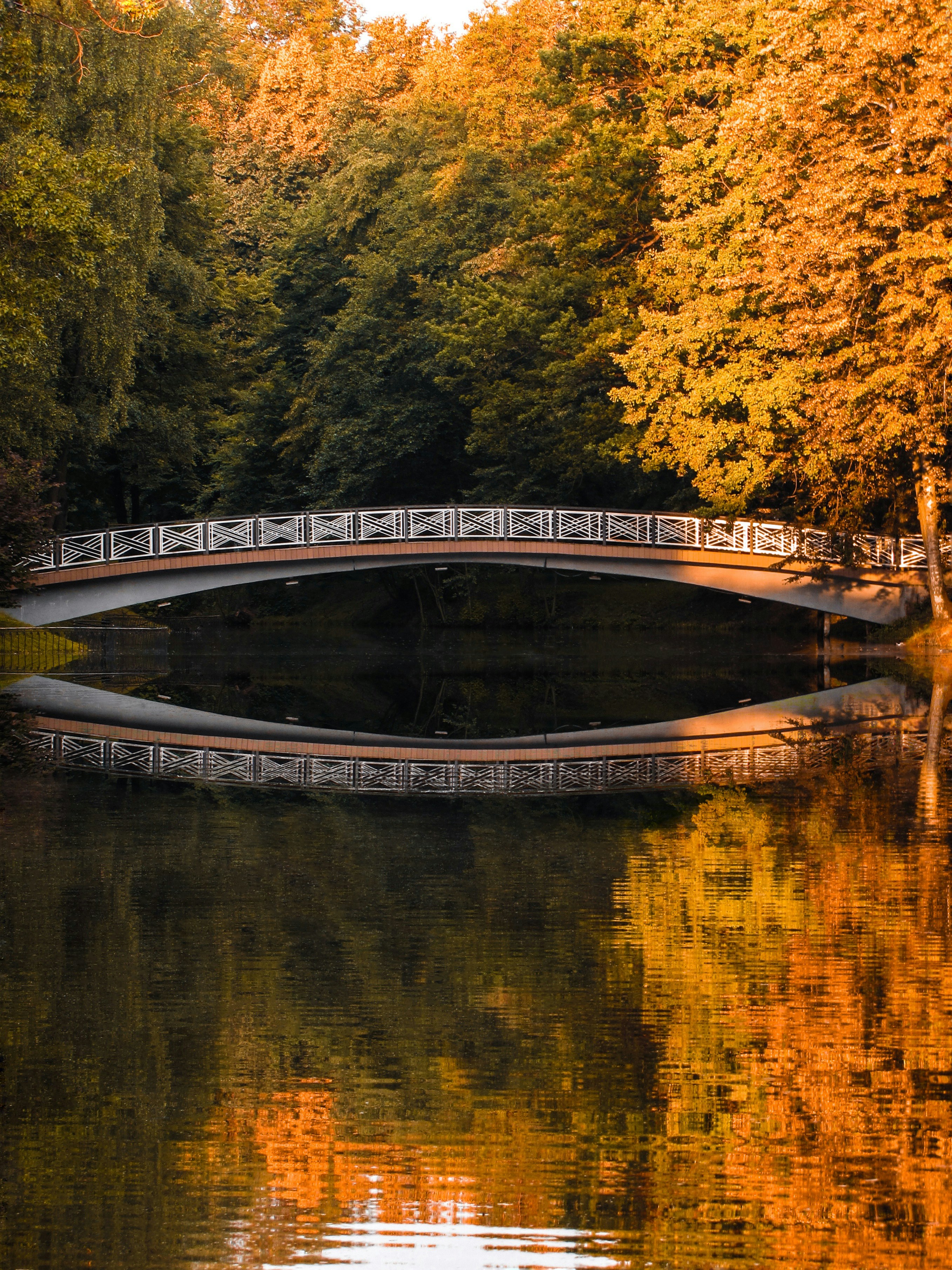 10 Inspiring Reflection Photography Ideas - FindAWaybyJWP