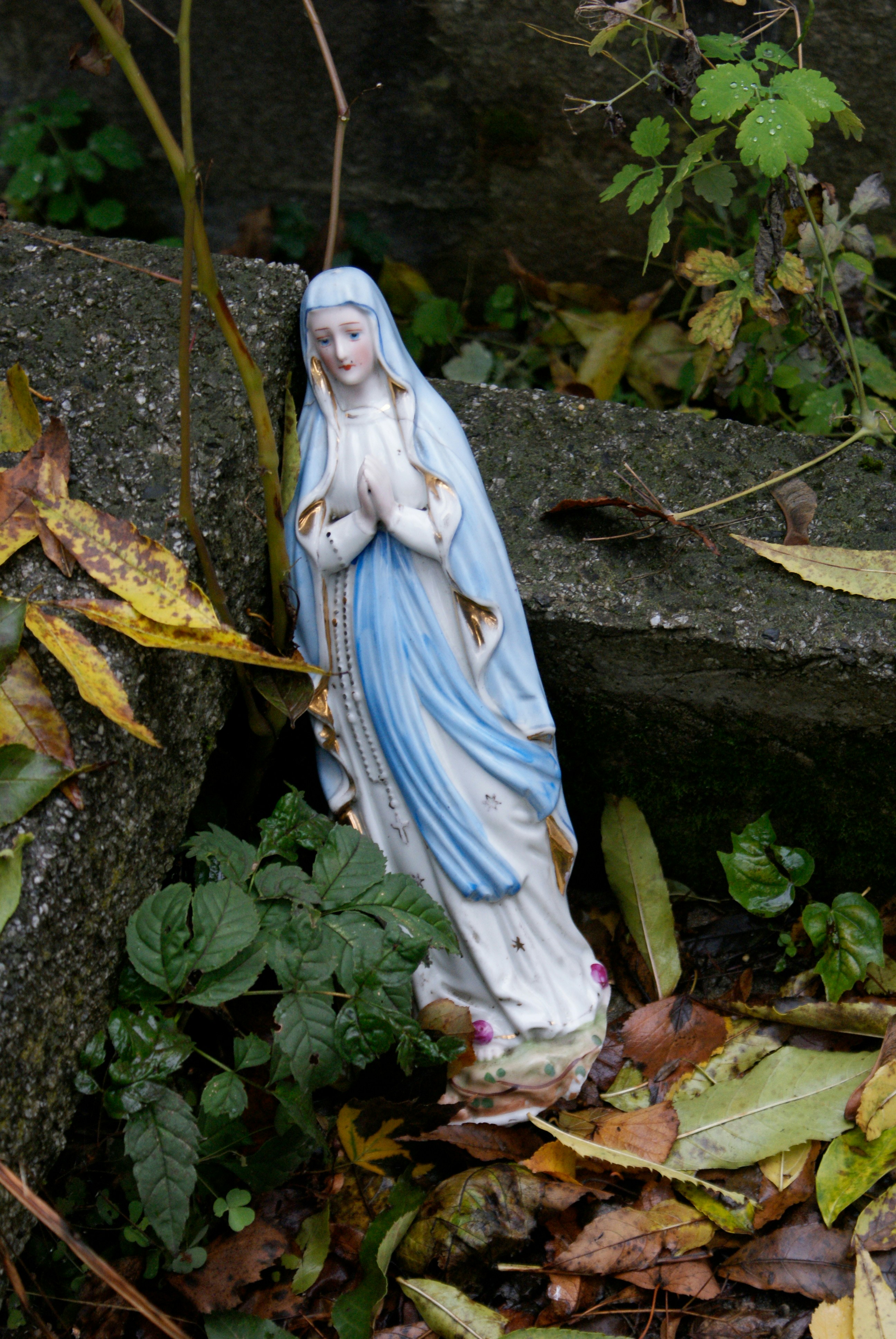 Une statue de la Vierge Marie dans un jardin photo – Image gratuite de ...