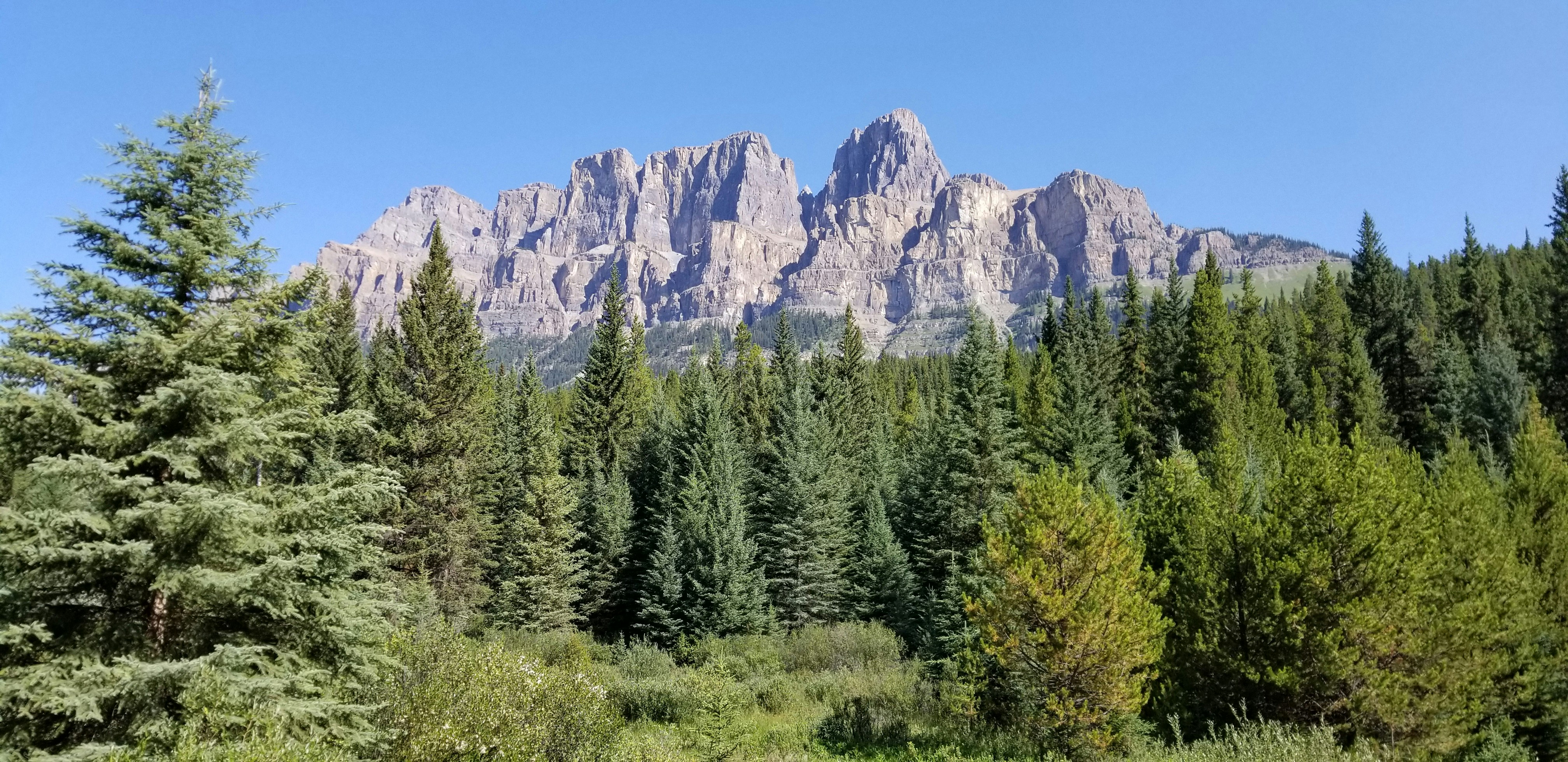 Majestic Ridge: Pines Framing a Granite Summit