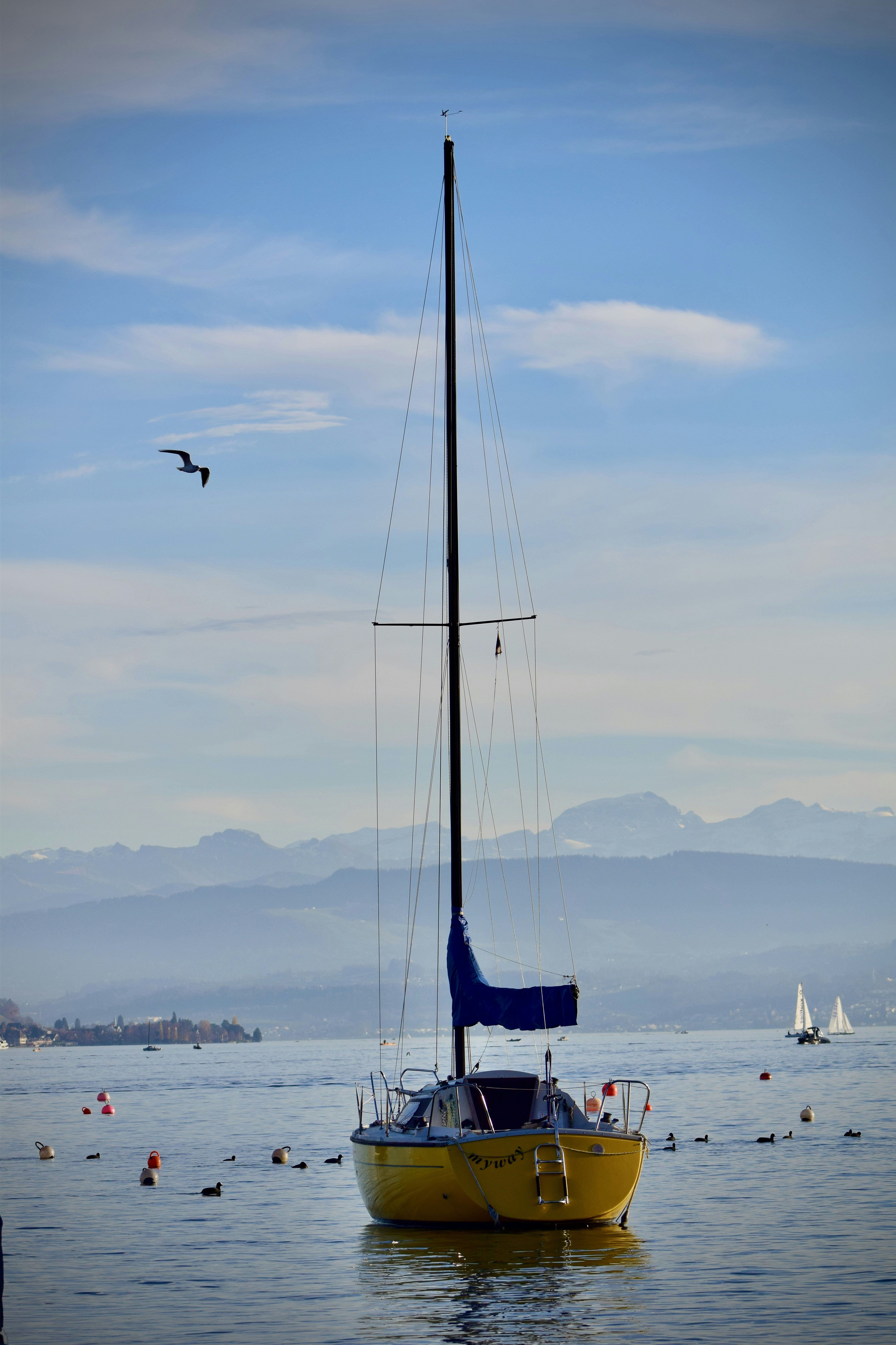 Photo by Marketa Wranova with Nikon D3300